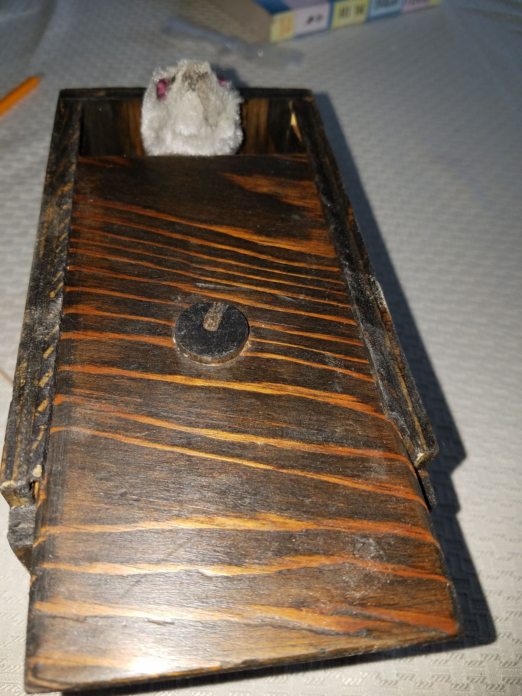 Spider Box : 11 Steps (with Pictures) - Instructables