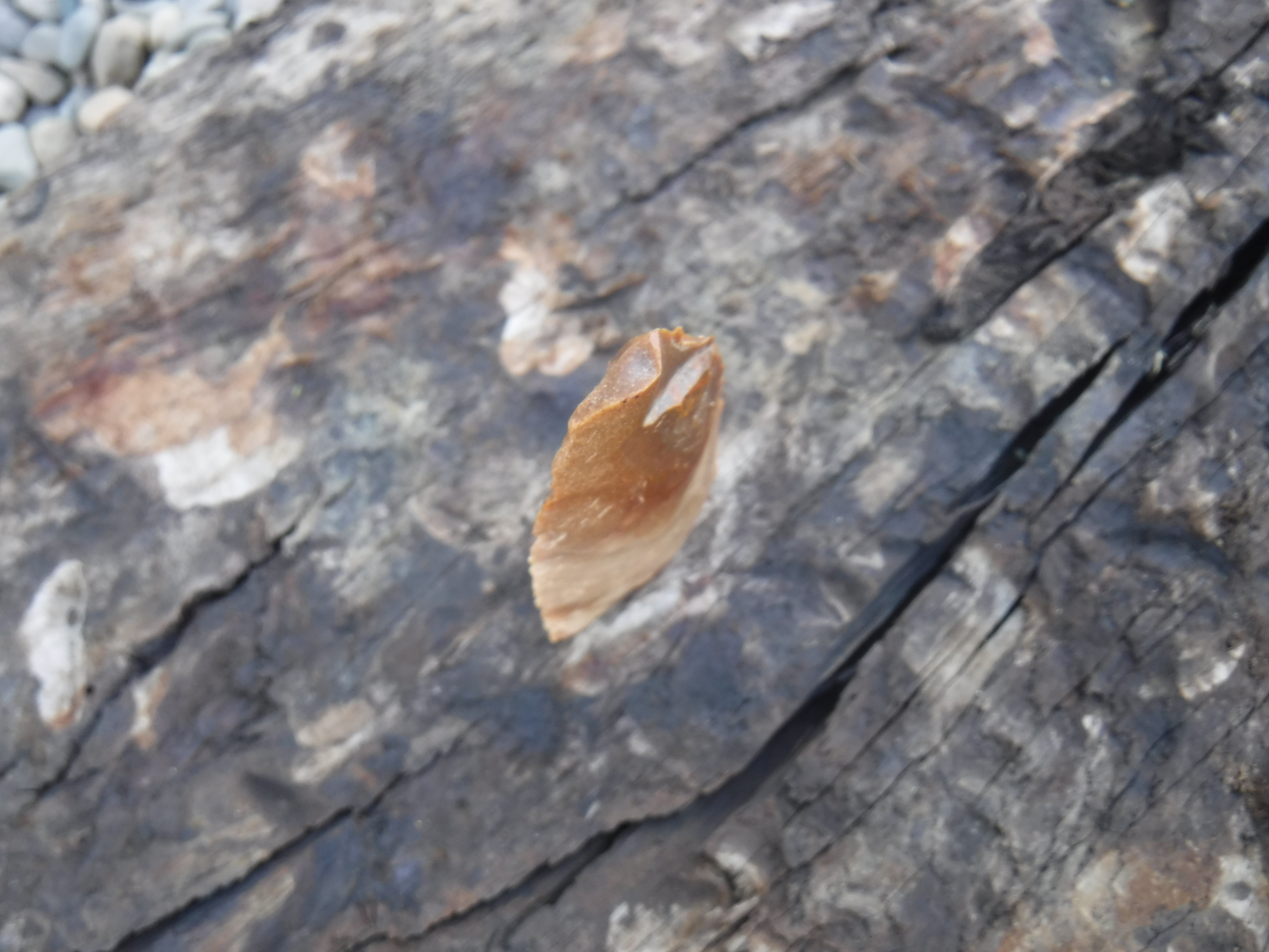 Make Your Own 3D Models for Free! : 7 Steps - Instructables