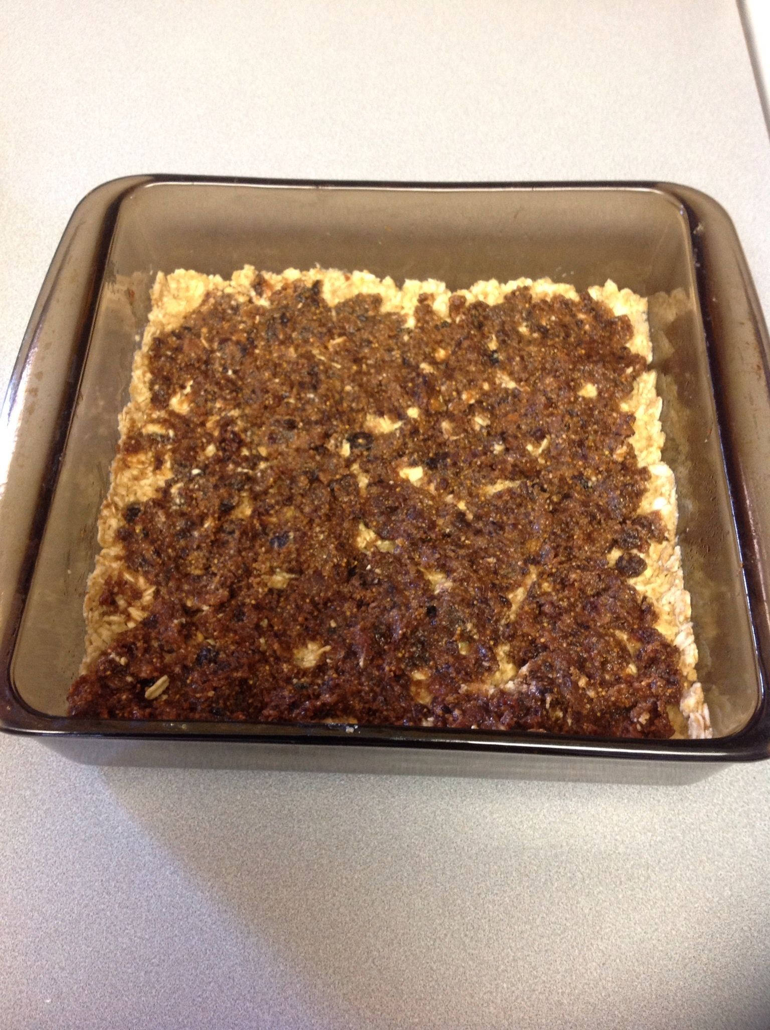 Fig Delight (High Fiber, Low Calorie & Fat) : 7 Steps - Instructables