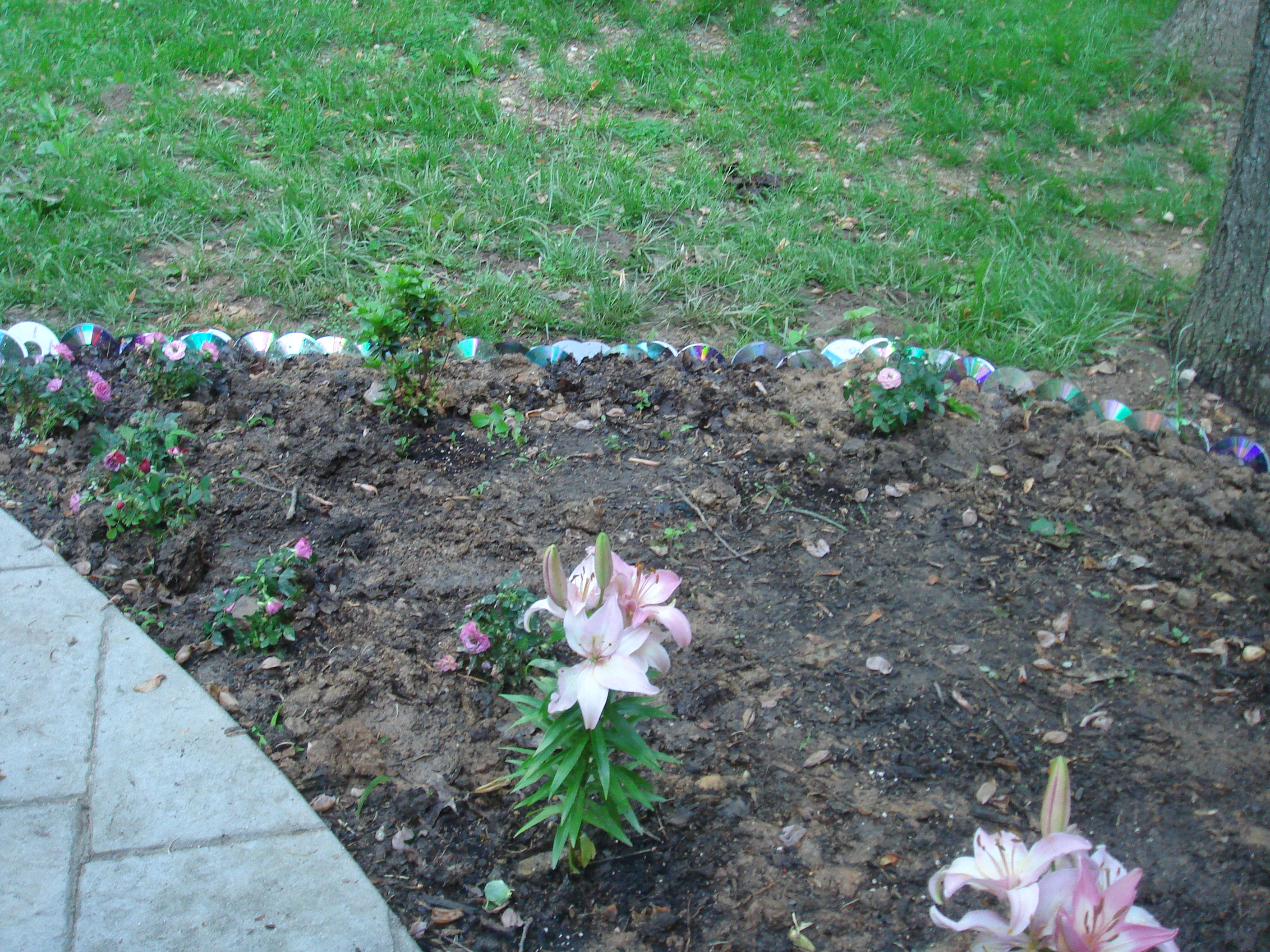 CD Landscape Border With Rainbow Projections : 5 Steps - Instructables