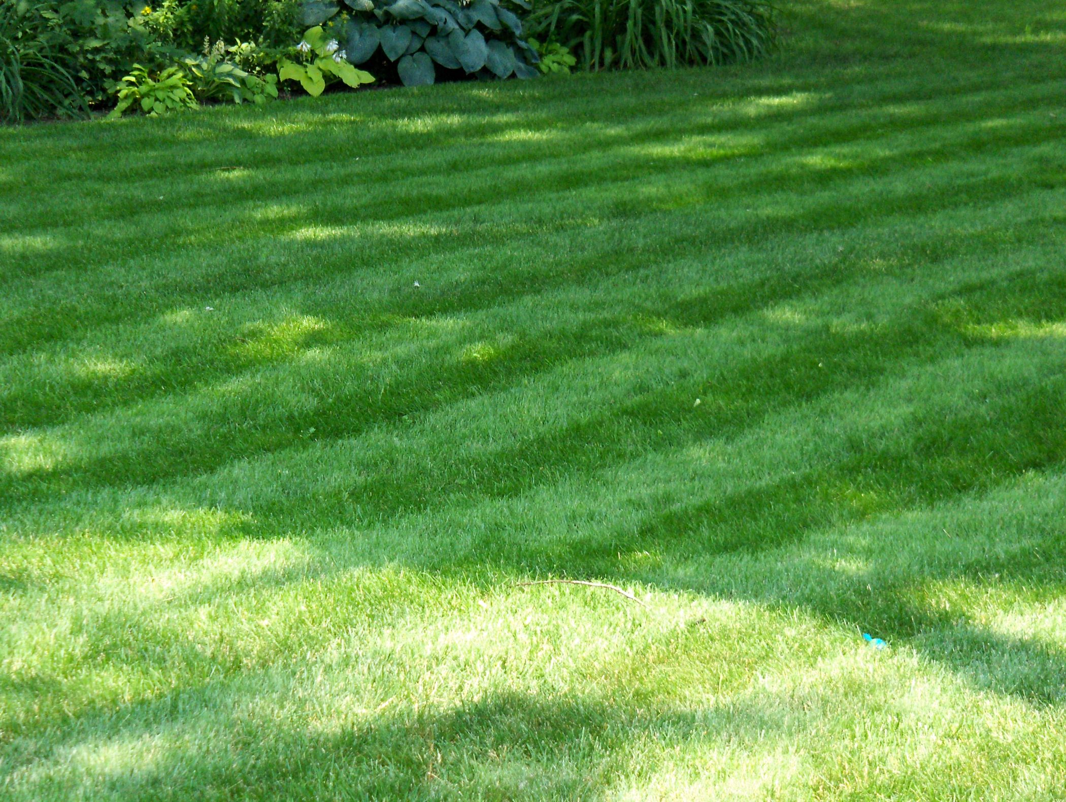 How to Stripe Your Lawn (with Pictures) - Instructables