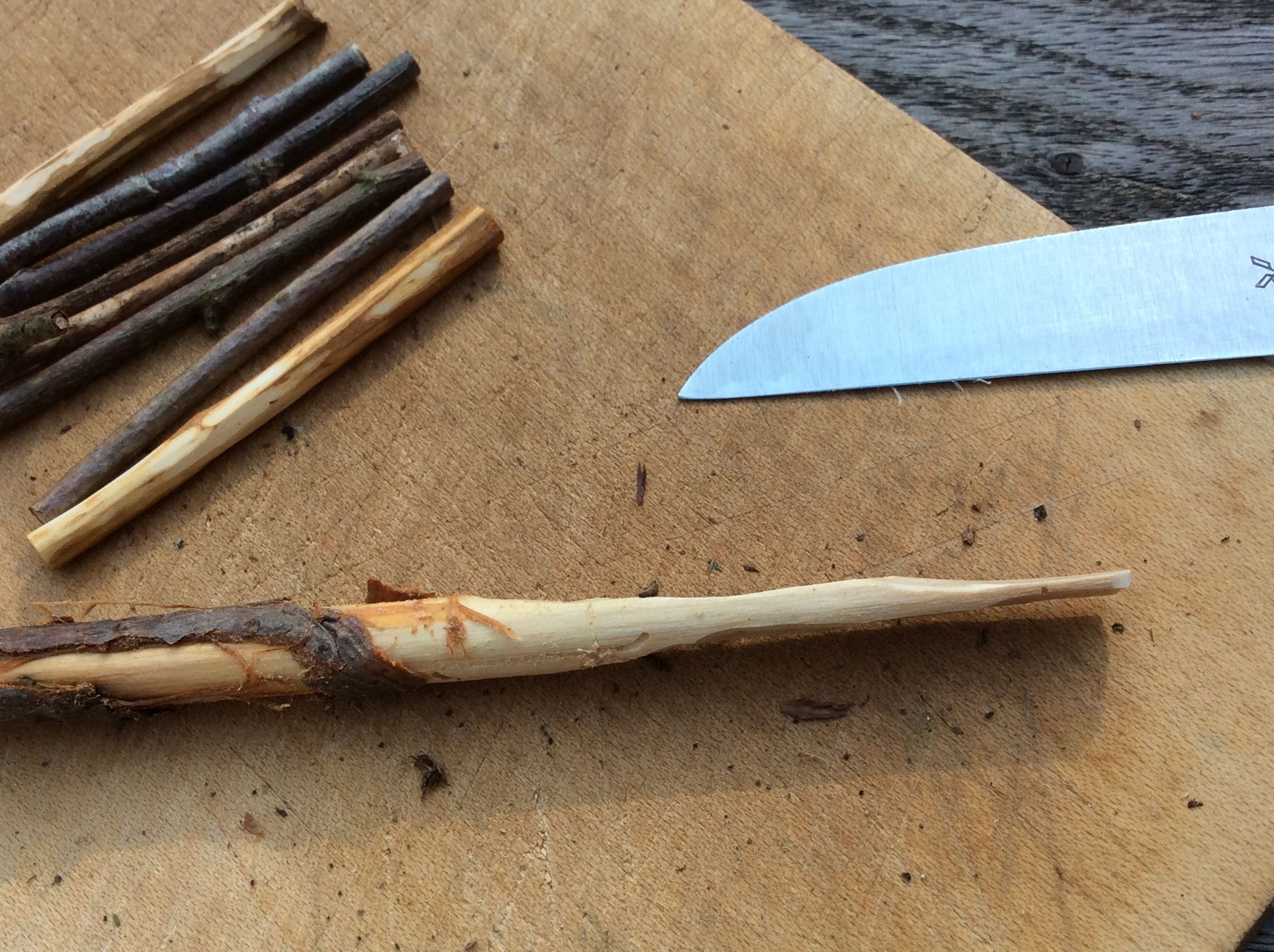 Noah's Raft: the Tiny One : 6 Steps - Instructables