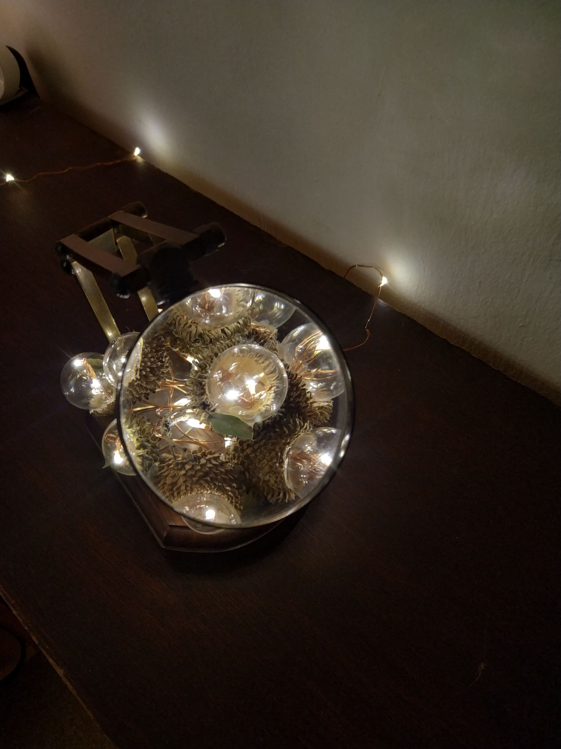 Tiny Acorn Light Bulbs!!! : 3 Steps (with Pictures) - Instructables