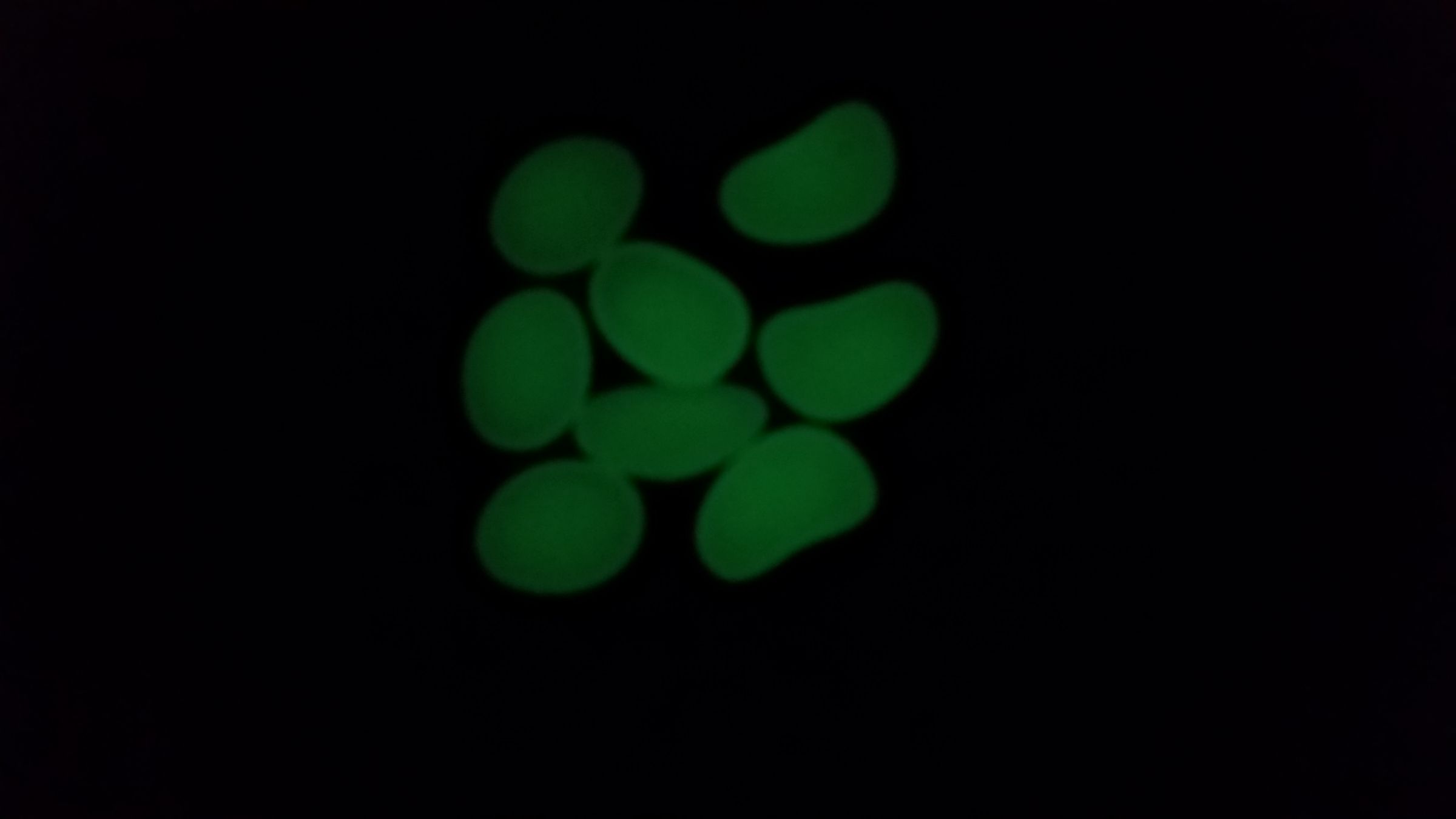 Glow in the Dark Wire Wrapped Pendant : 5 Steps (with Pictures ...