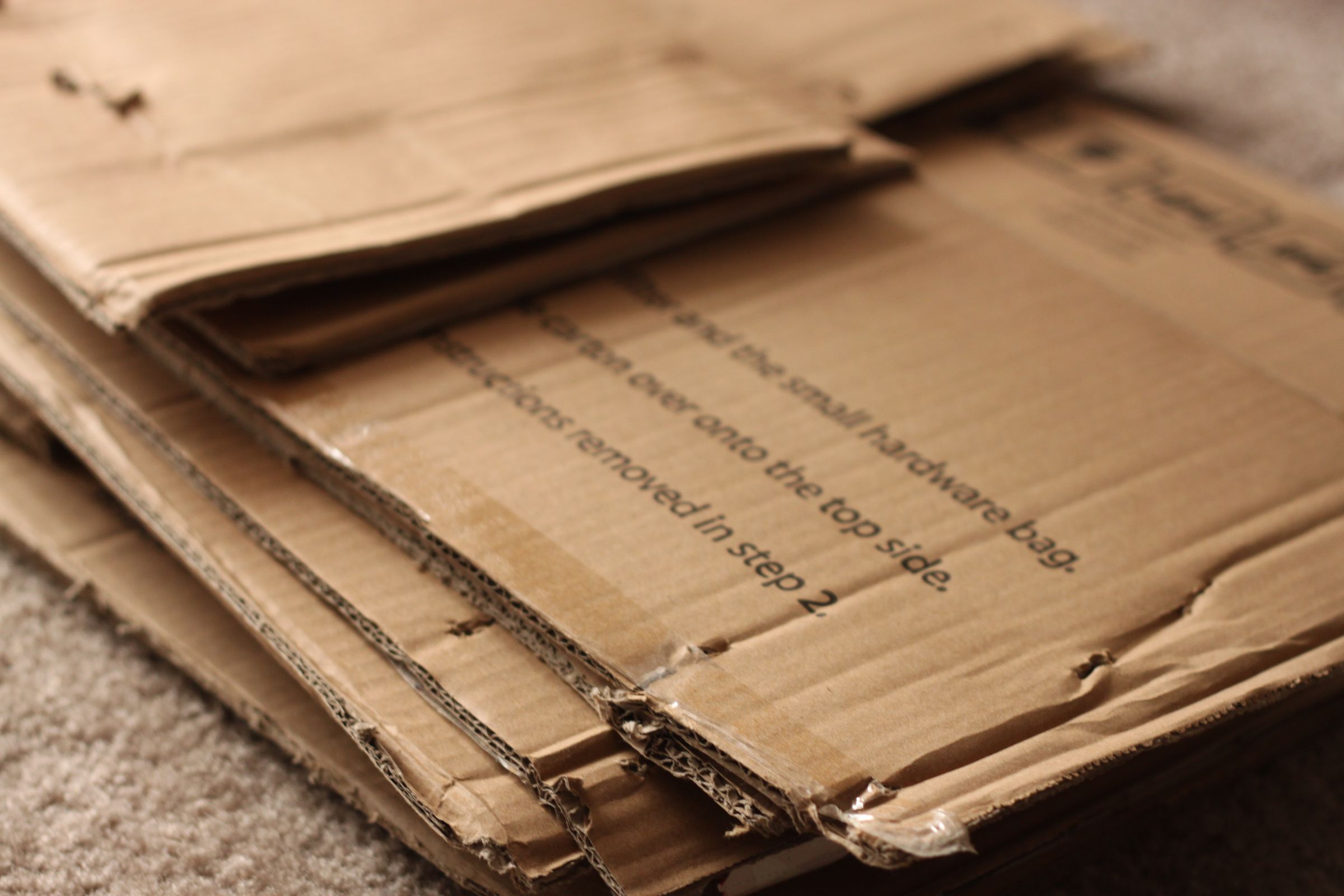 DIY Cardboard Deer Head : 5 Steps (with Pictures) - Instructables