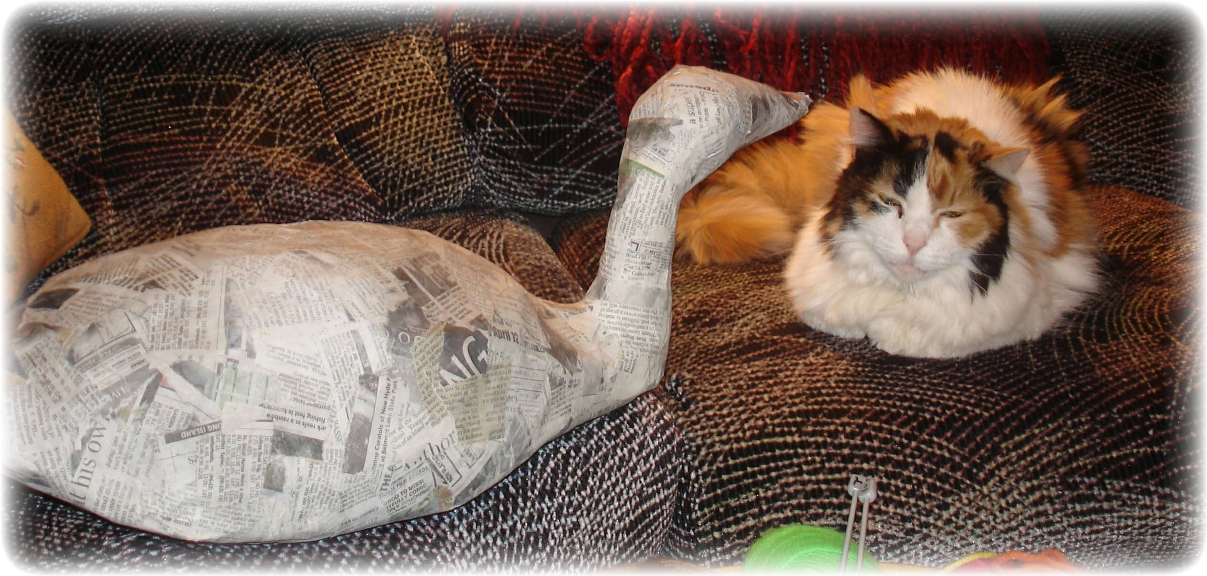 Recycle Plastic Grocery Bags, Wire Hangers and Newspaper Into Loons ...