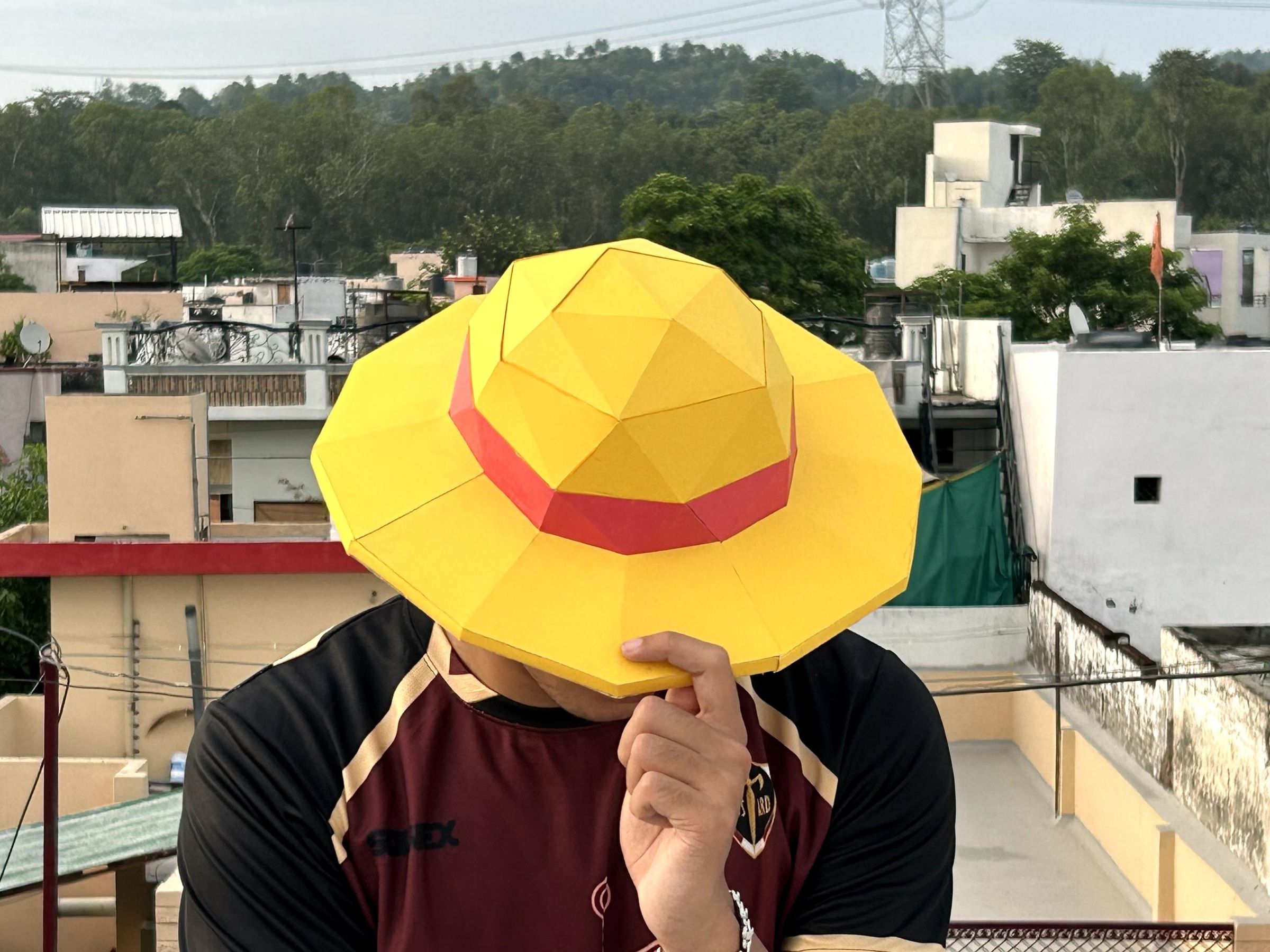 DIY Luffy’s Straw Hat (Yep, It’s Just Paper) : 8 Steps (with Pictures ...