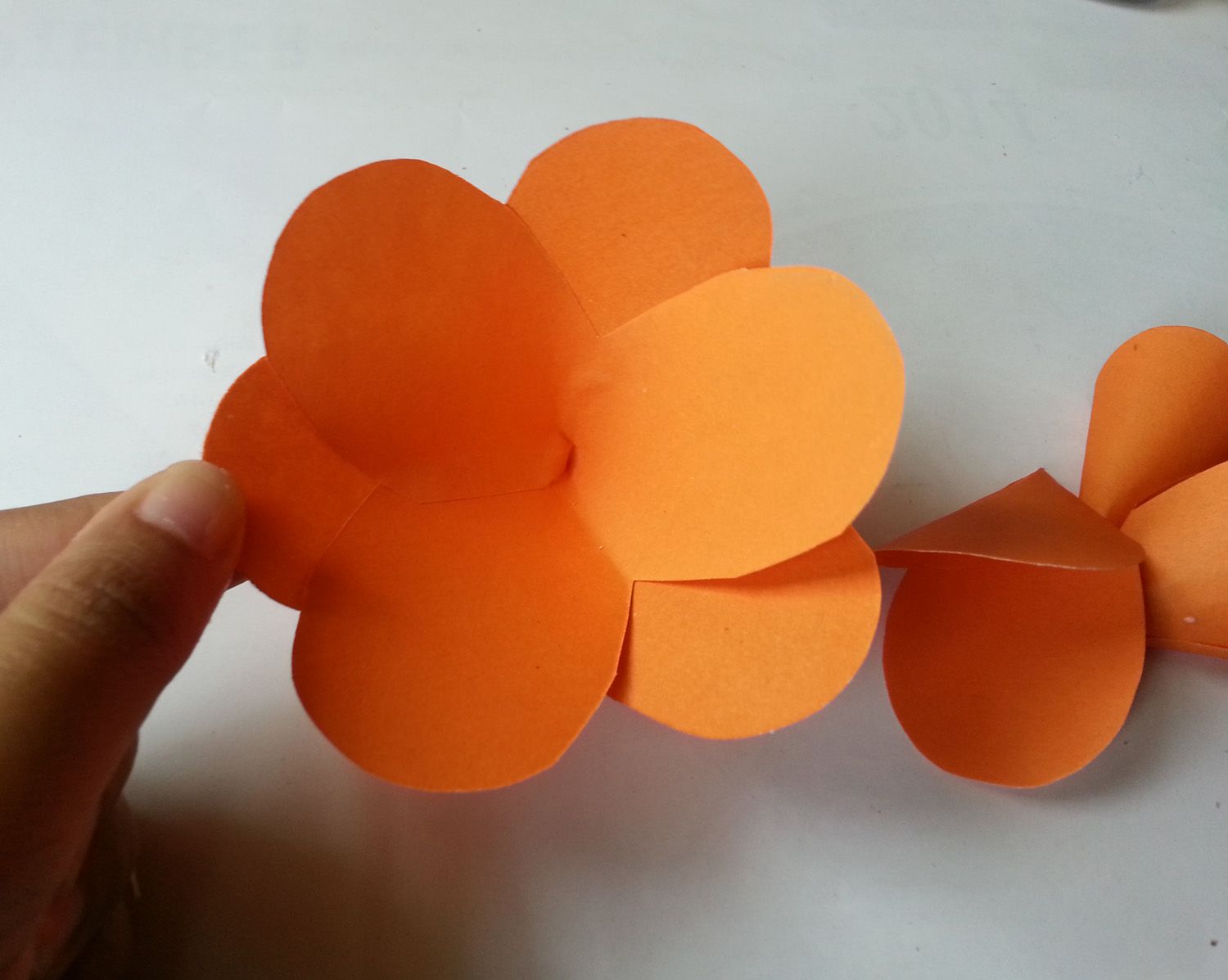 DIY Paper Flowers (Folding Tricks) : 5 Steps (with Pictures ...