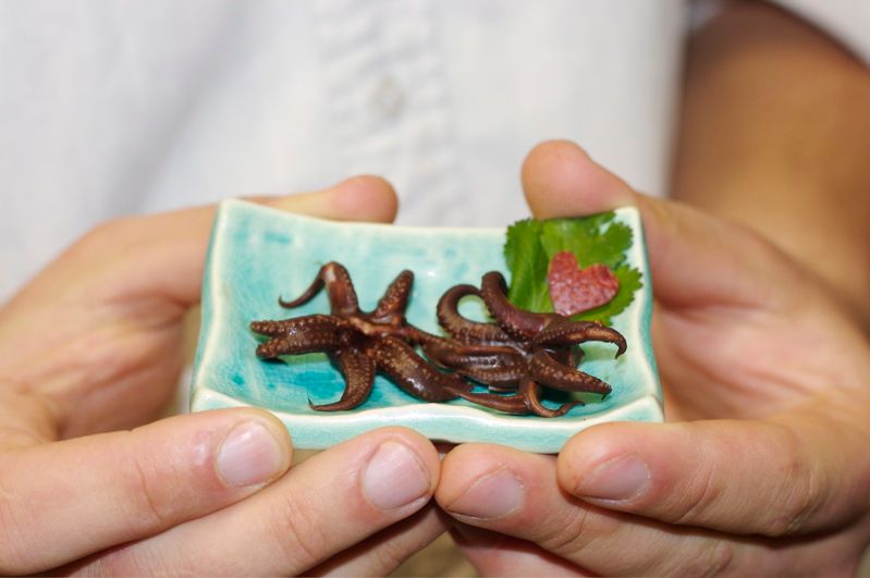 Chocolate Covered Squid - Valentine's Day Candy From the Sea : 3 Steps ...