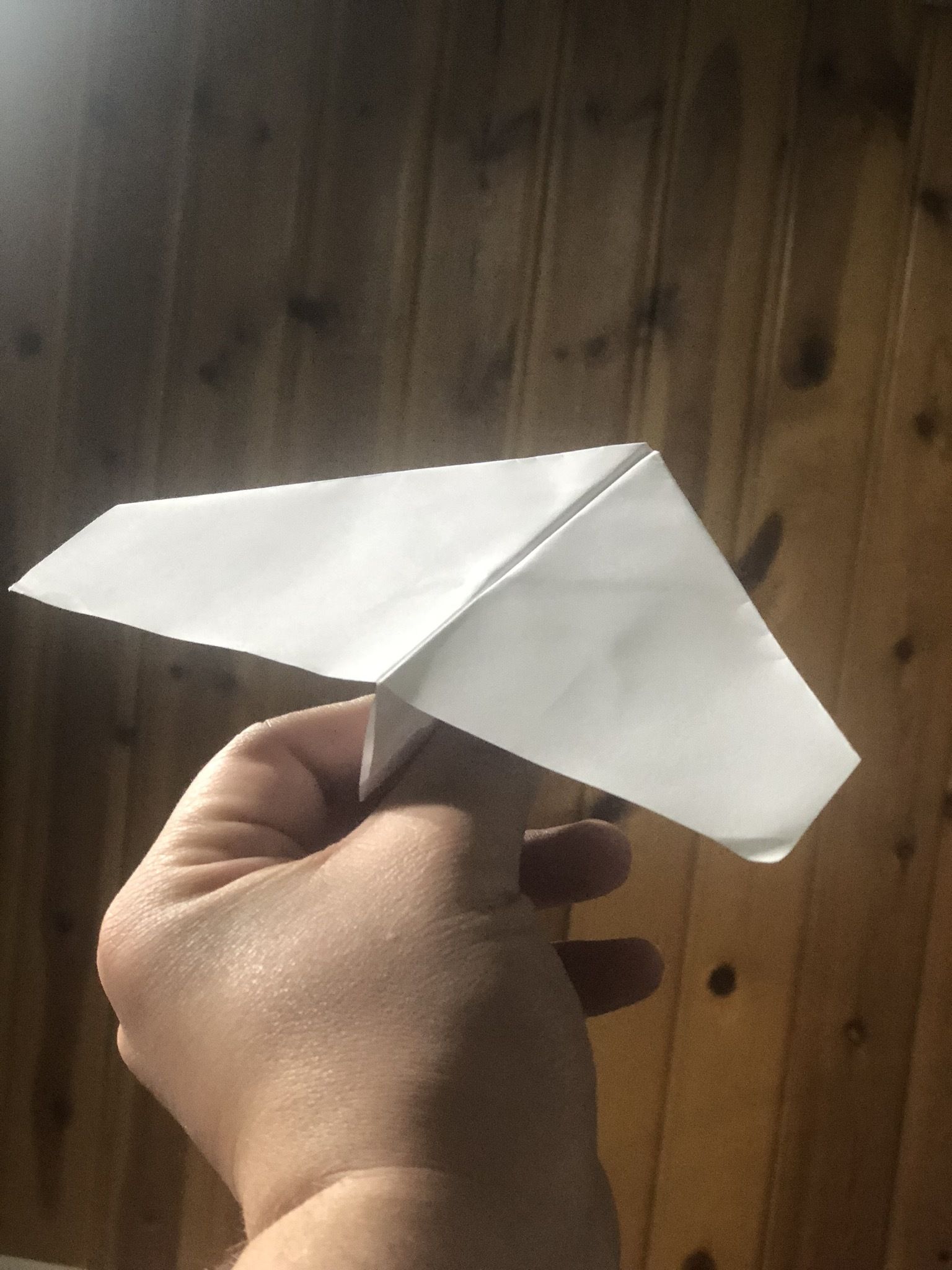 Contest Winning Paper Airplane : 10 Steps - Instructables