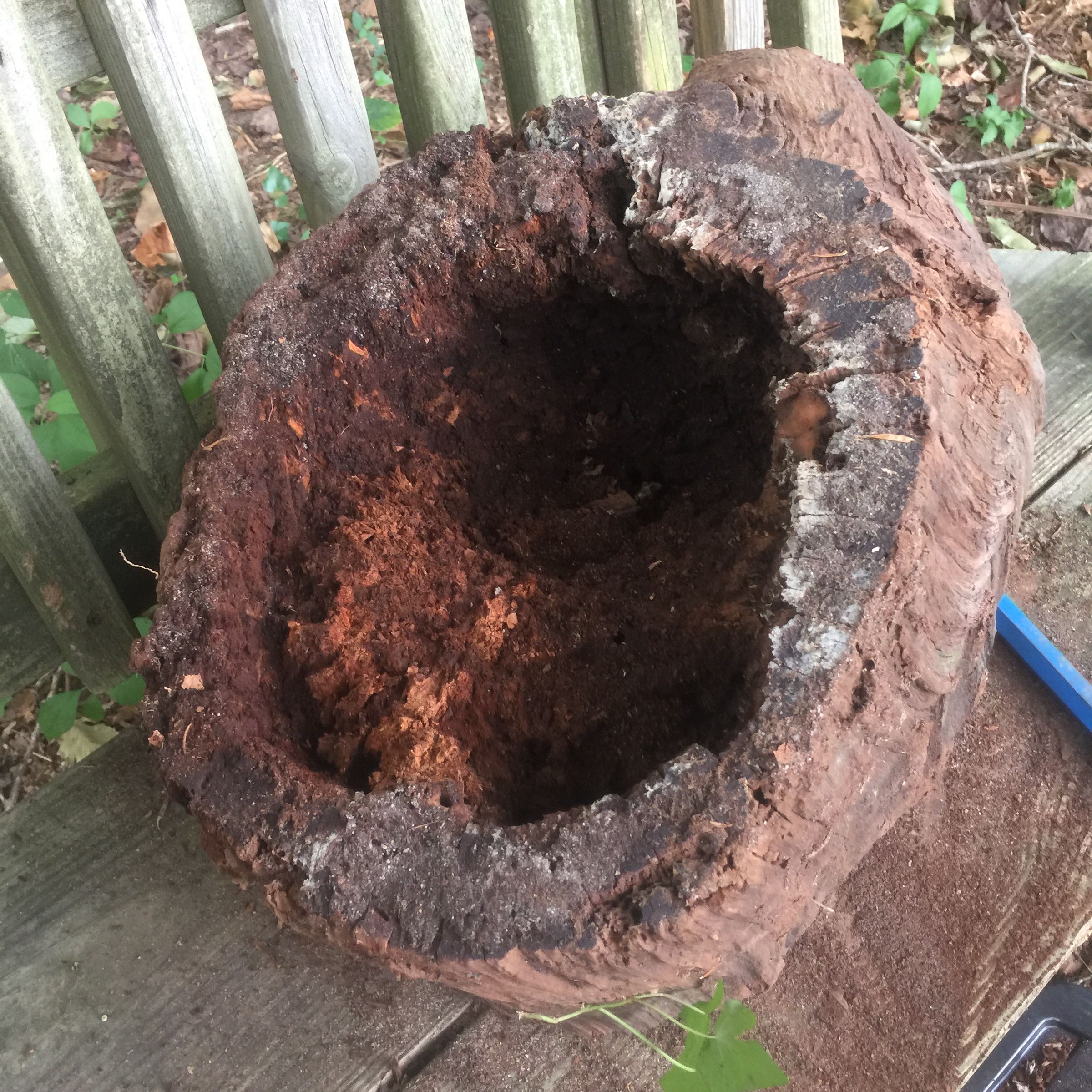 Turn a Stump Into a Natural Herb Garden : 4 Steps (with Pictures ...