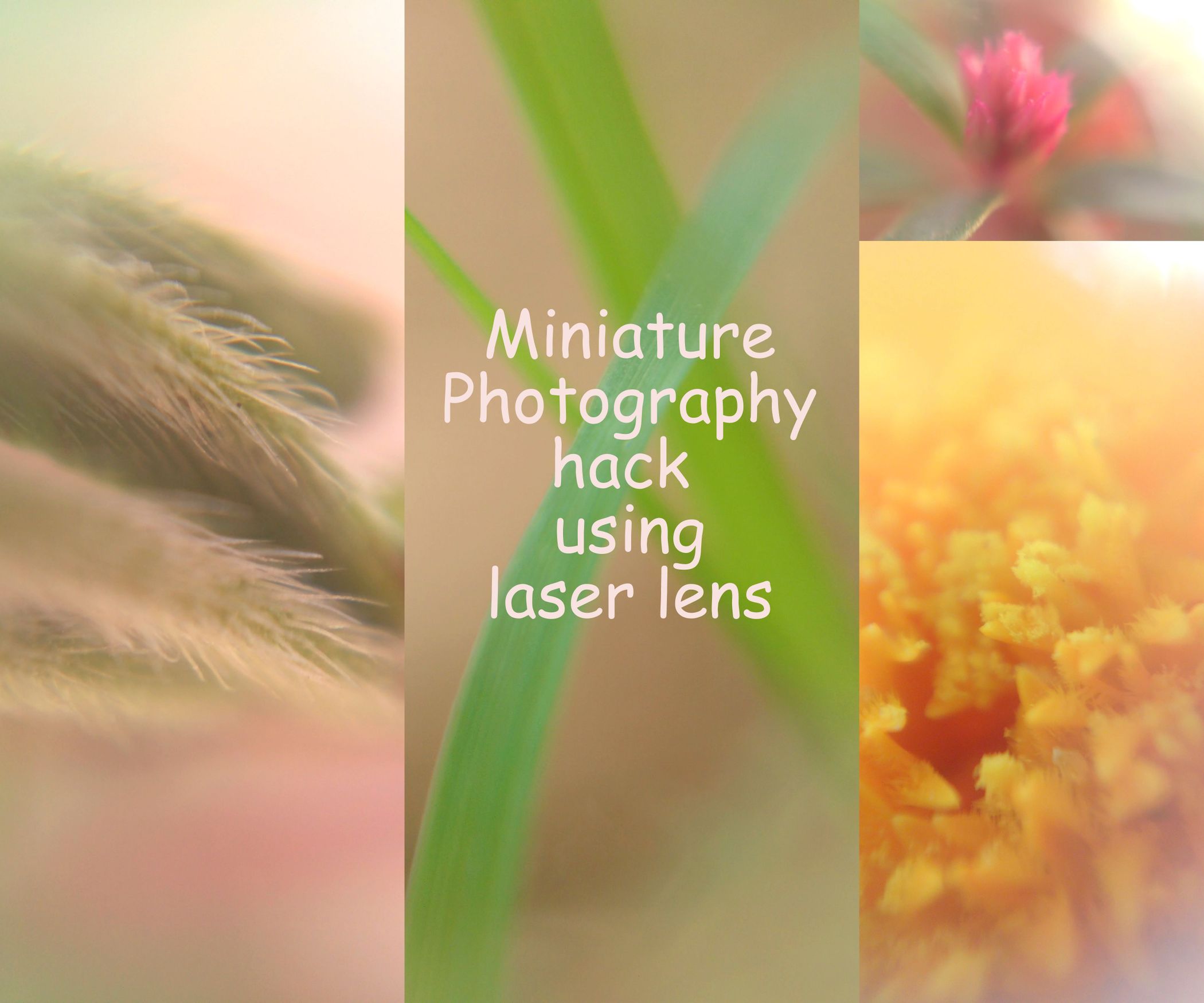 Miniature/Magnifined Photography Hack Using Laser Lens-DIY : 6 Steps (with Pictures) - Instructables