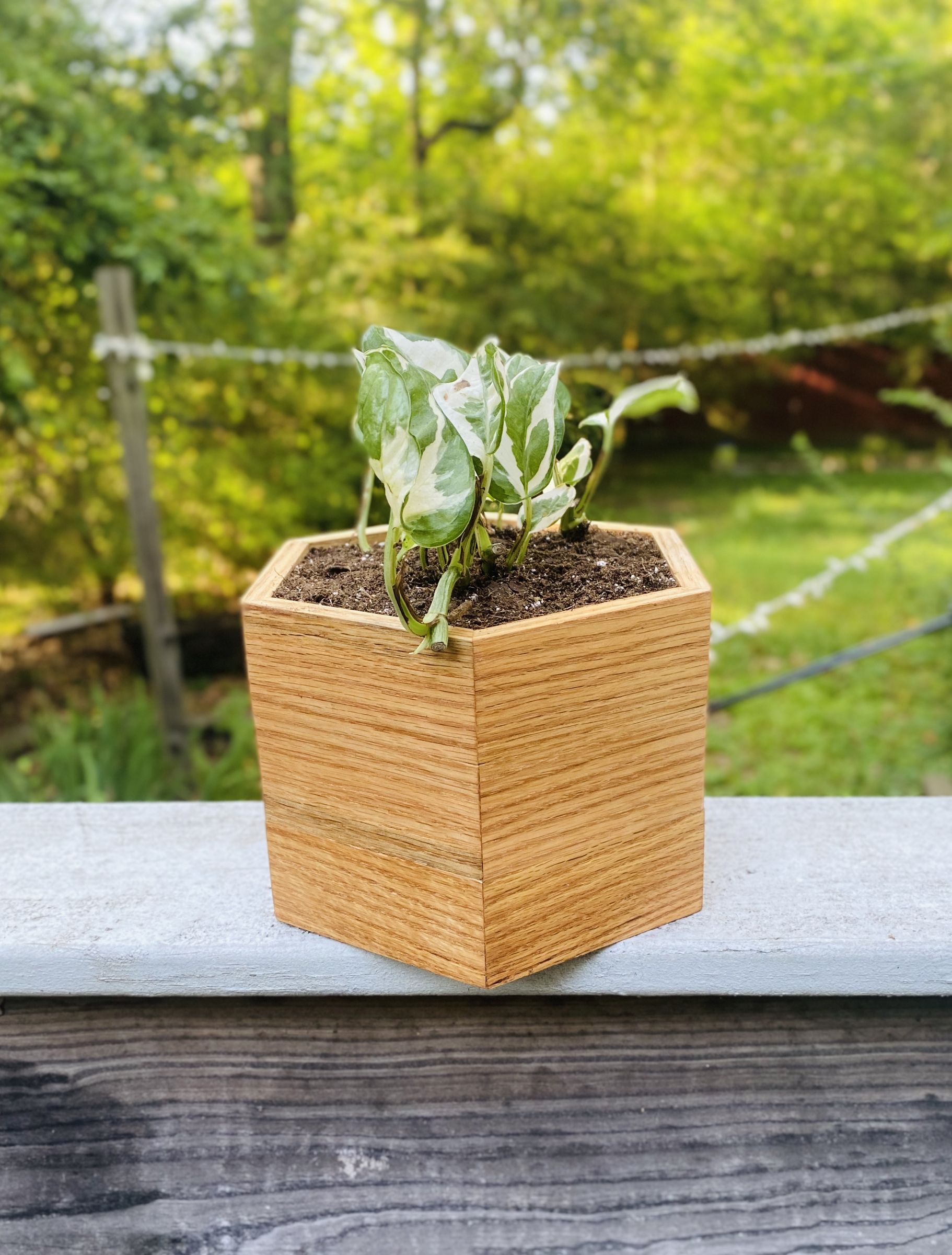 Hexagonal Planter : 6 Steps (with Pictures) - Instructables