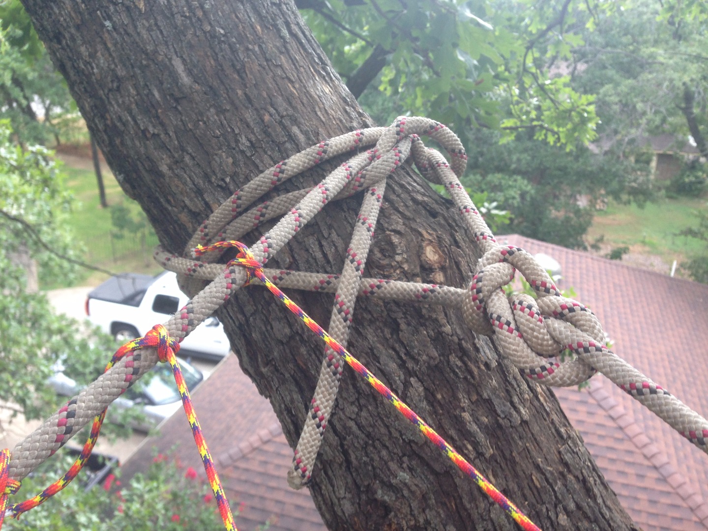 Tree Net : 5 Steps (with Pictures) - Instructables