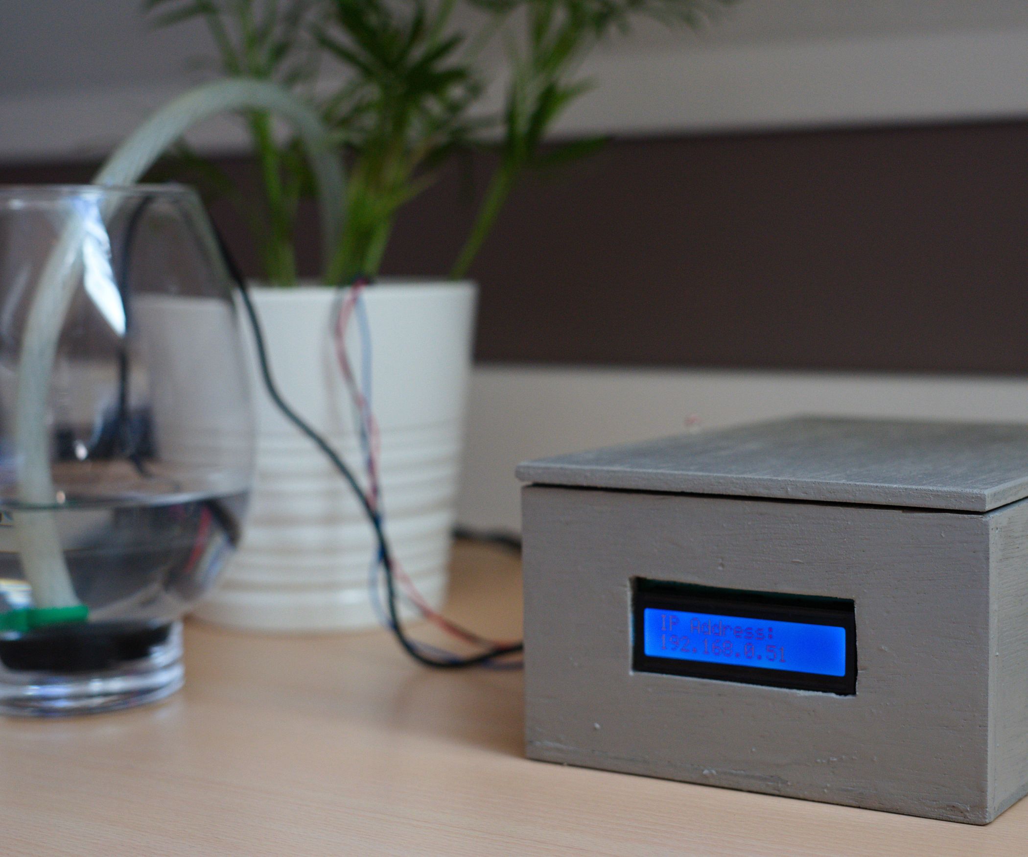 Automatic Plant Watering : 4 Steps - Instructables