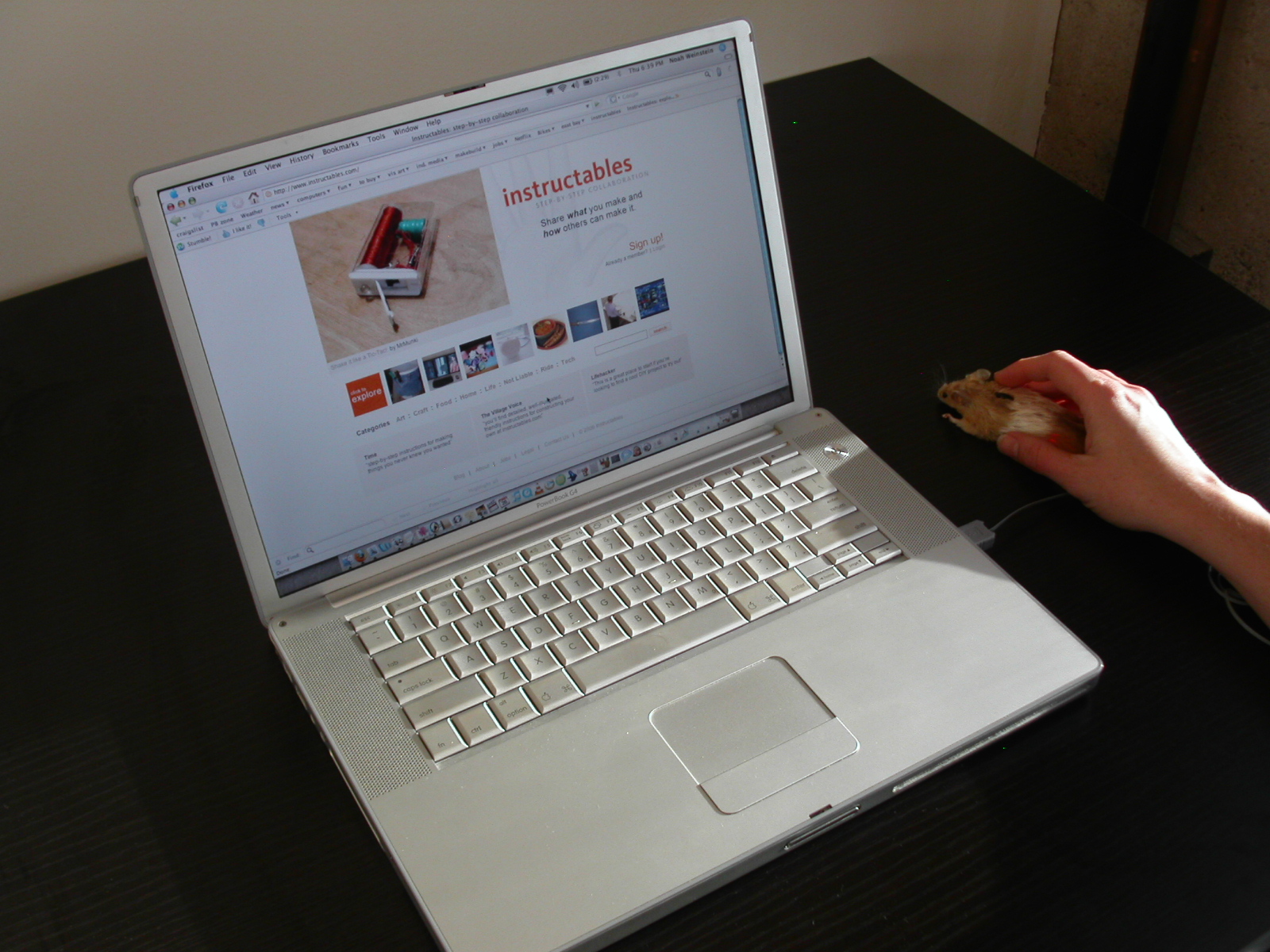 Mouse Mouse! : 9 Steps (with Pictures) - Instructables