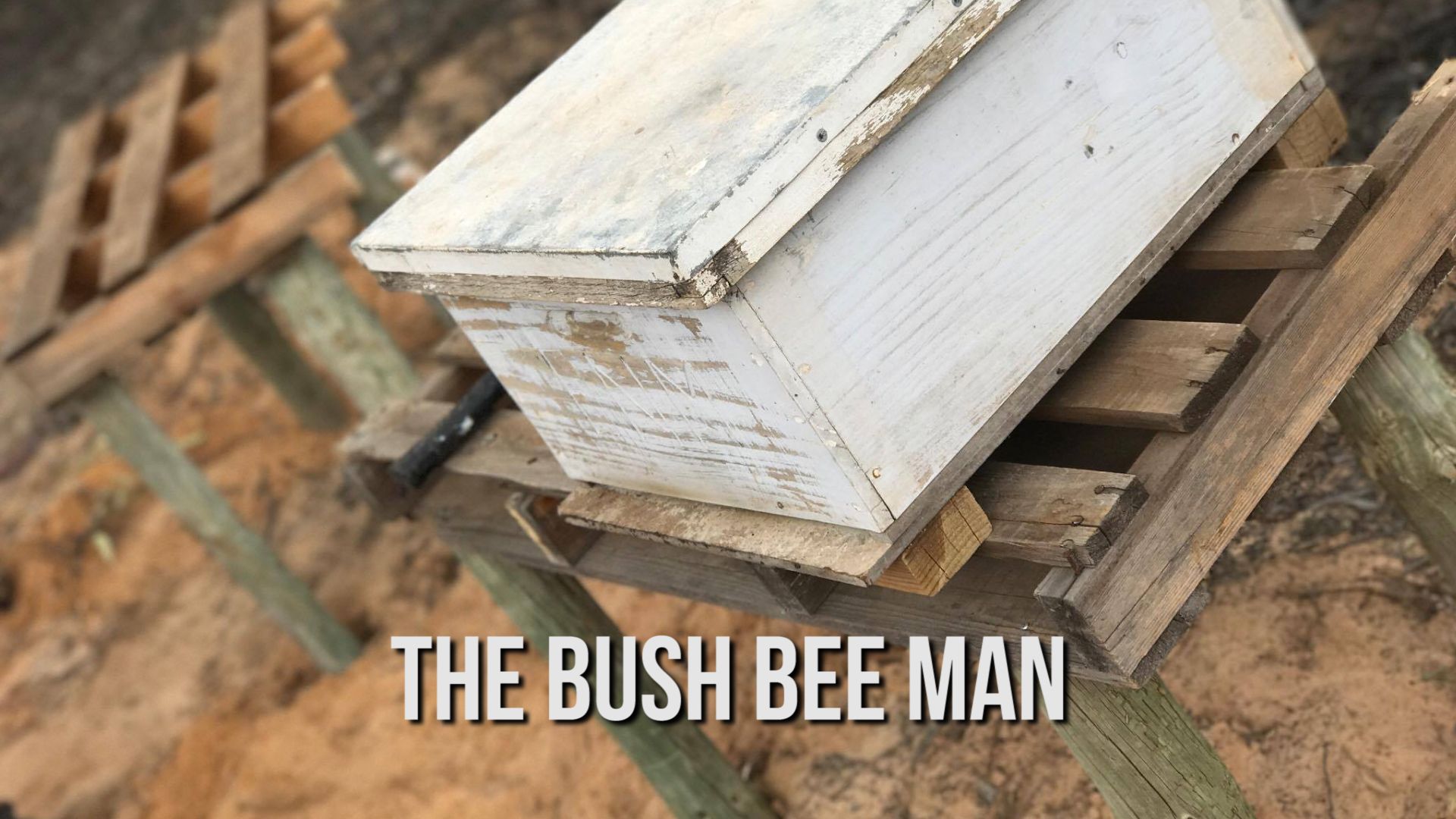 How to Build a Bee Hive Stand on the Cheap : 8 Steps (with Pictures ...