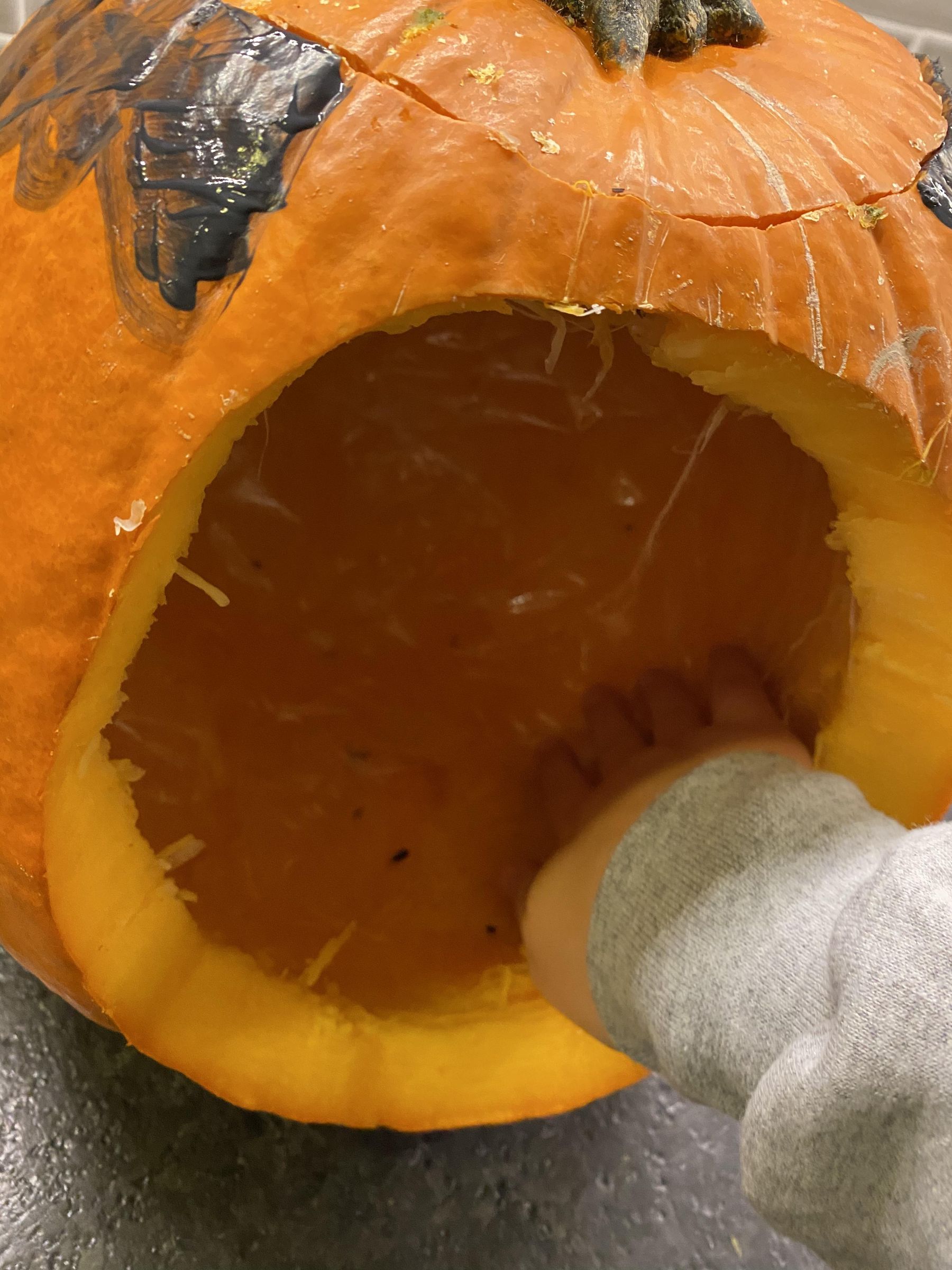The Pumpkin Cooler : 7 Steps (with Pictures) - Instructables