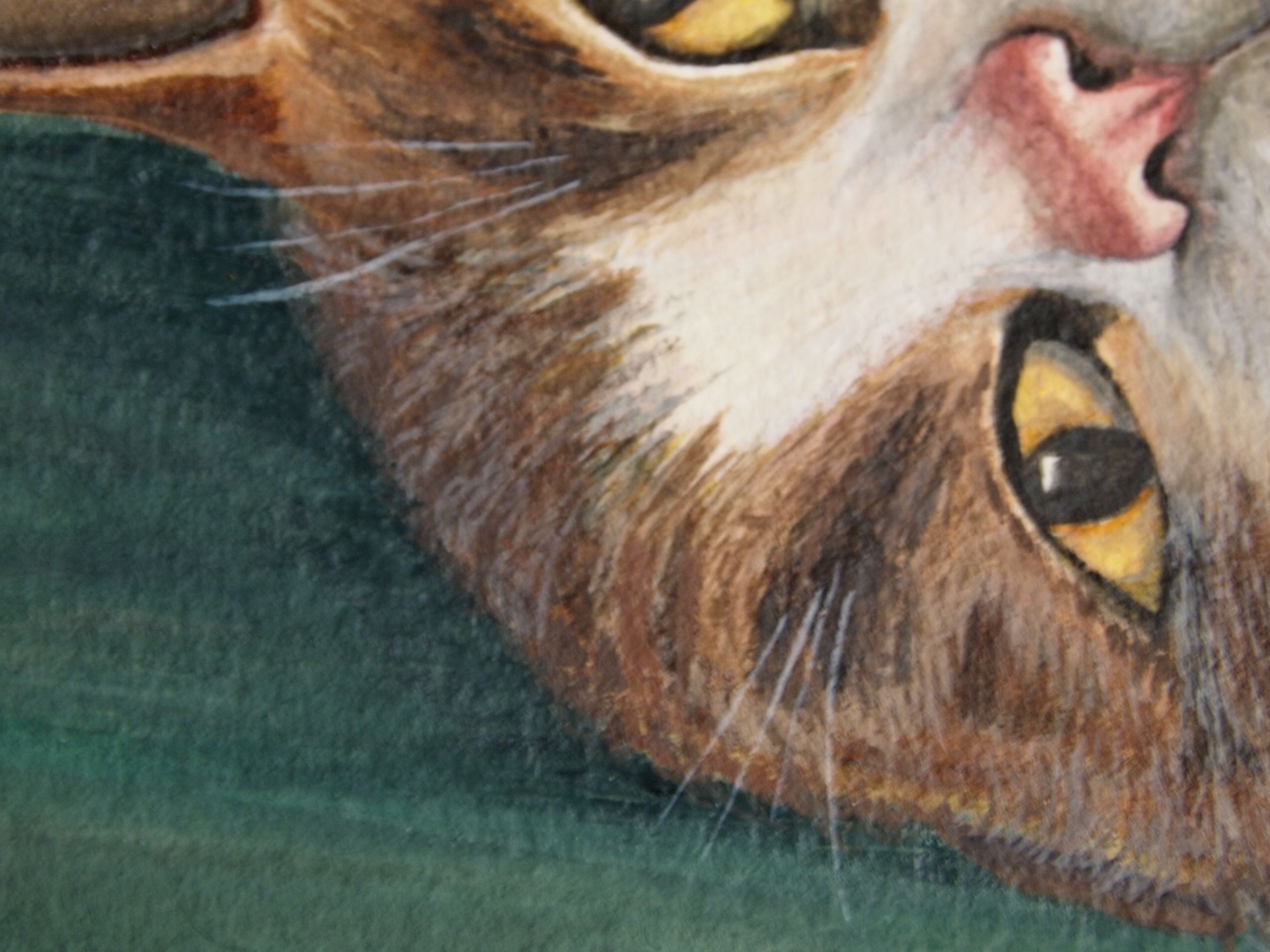 Watercolor Pet Portrait How-To : 7 Steps (with Pictures) - Instructables