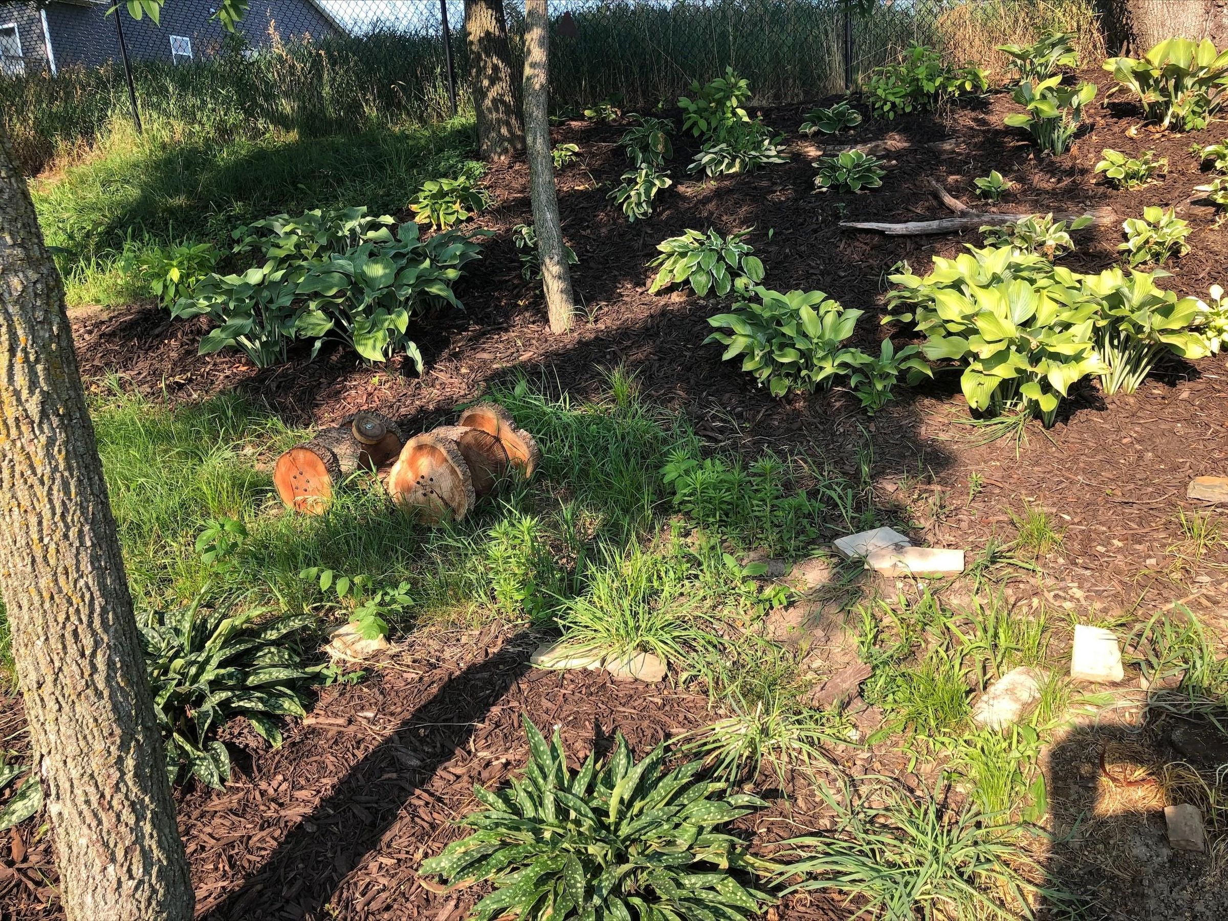 Back Yard Hot Rod : 5 Steps (with Pictures) - Instructables