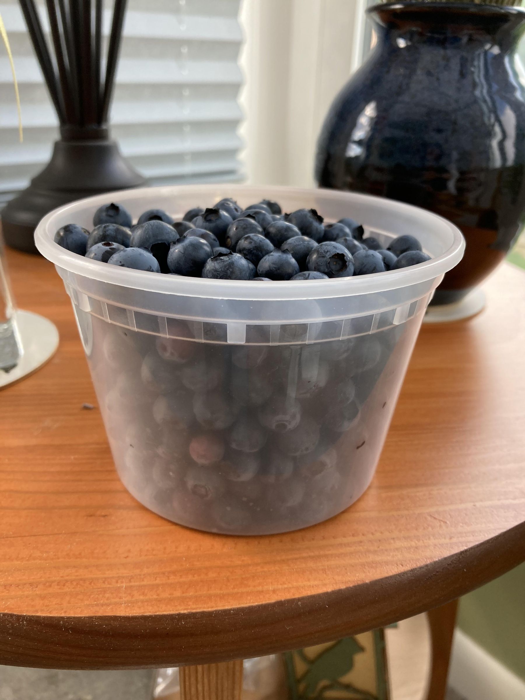 Blueberry Cage : 4 Steps (with Pictures) - Instructables