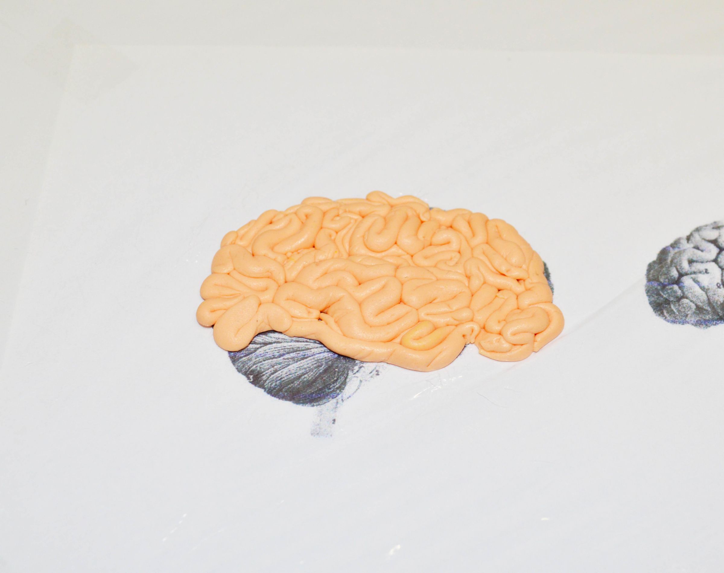 Chocolate Raspberry Brain Halloween Dessert : 11 Steps (with Pictures ...