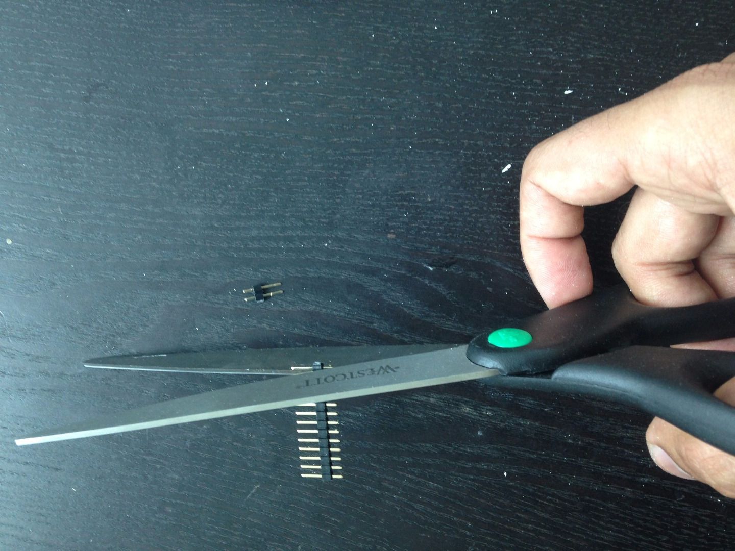 Insect Bot : 8 Steps (with Pictures) - Instructables