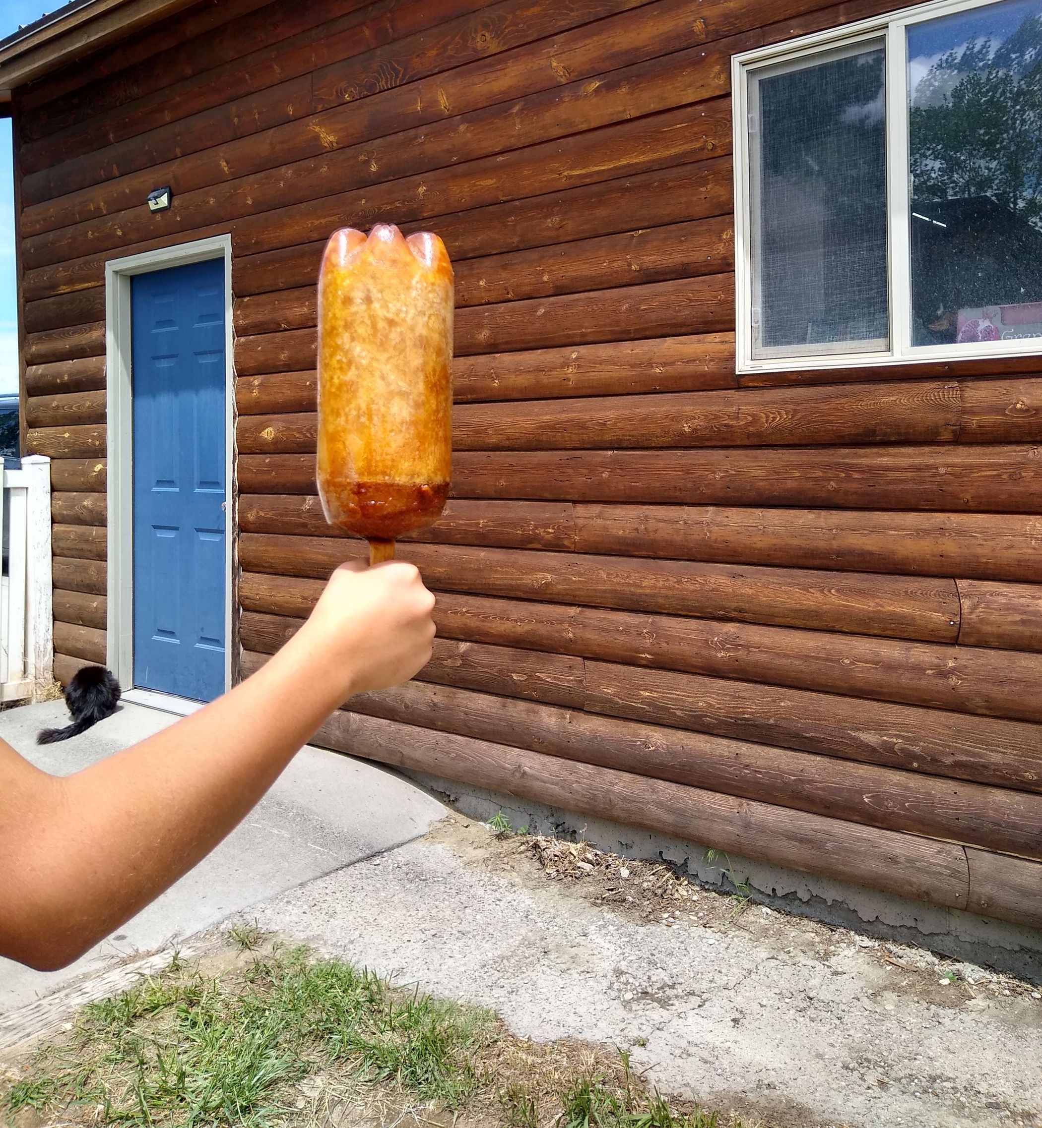 Giant Popsicle : 6 Steps - Instructables