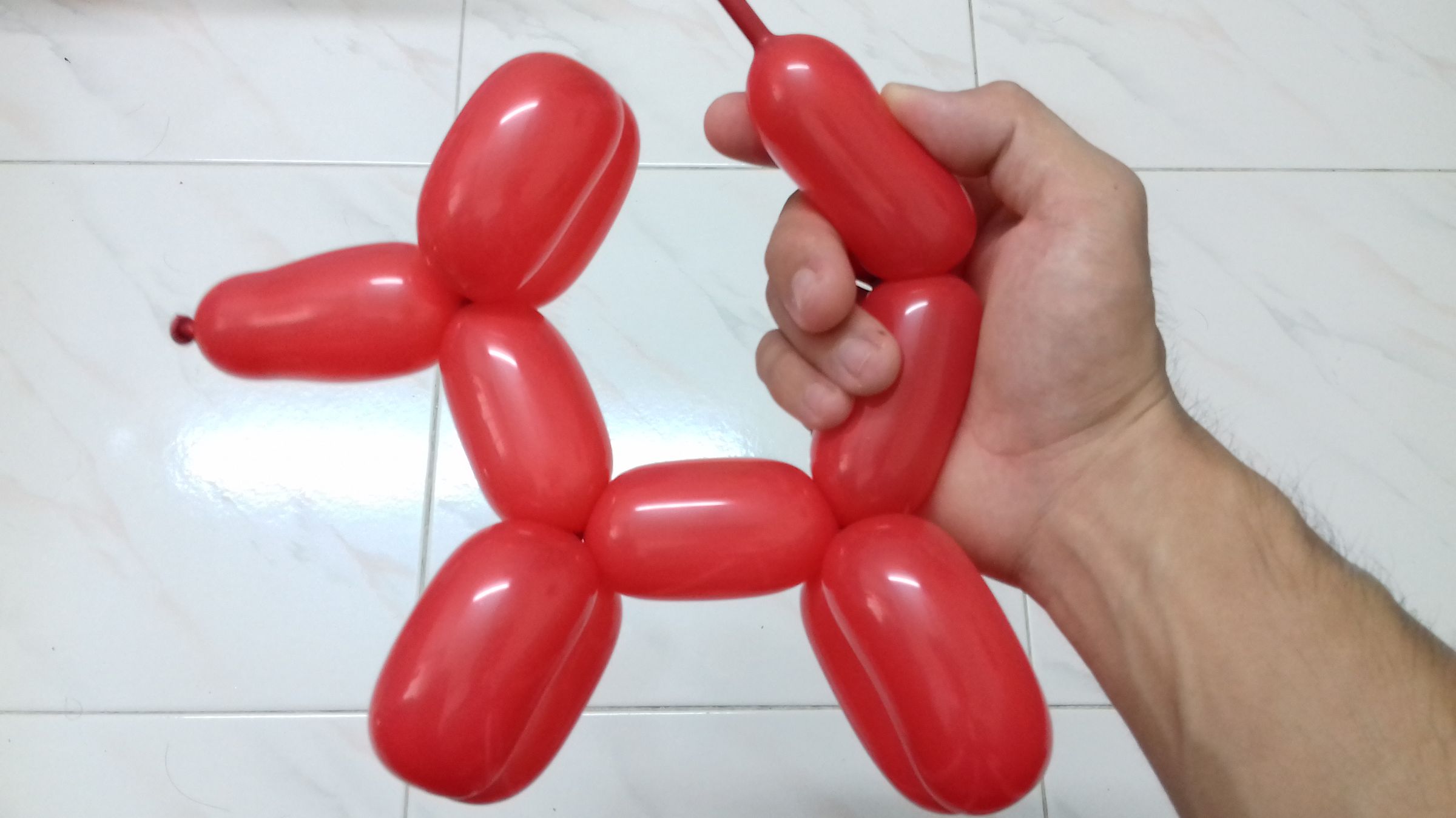 Balloon Twisting- Dog : 7 Steps (with Pictures) - Instructables