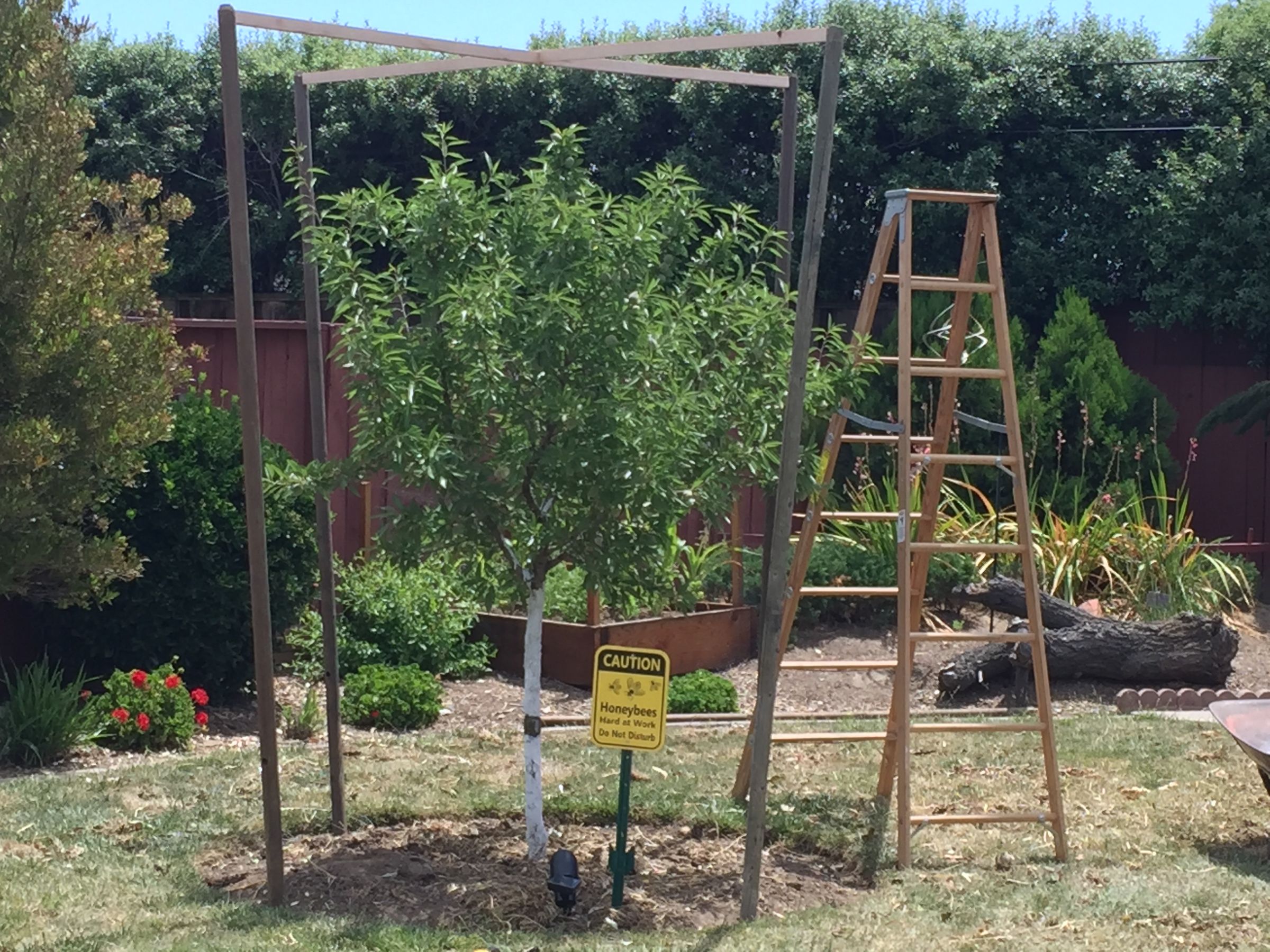 Fruit Tree Cage : 8 Steps (with Pictures) - Instructables