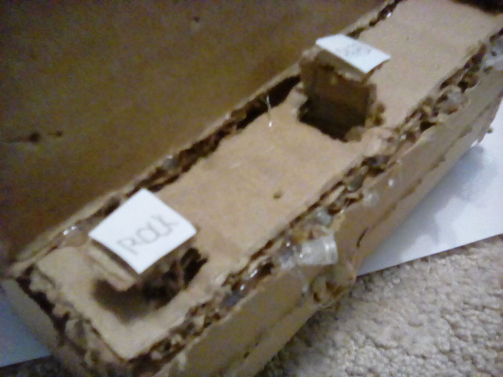 Cardboard Rock-Paper-Scissors Game : 5 Steps - Instructables