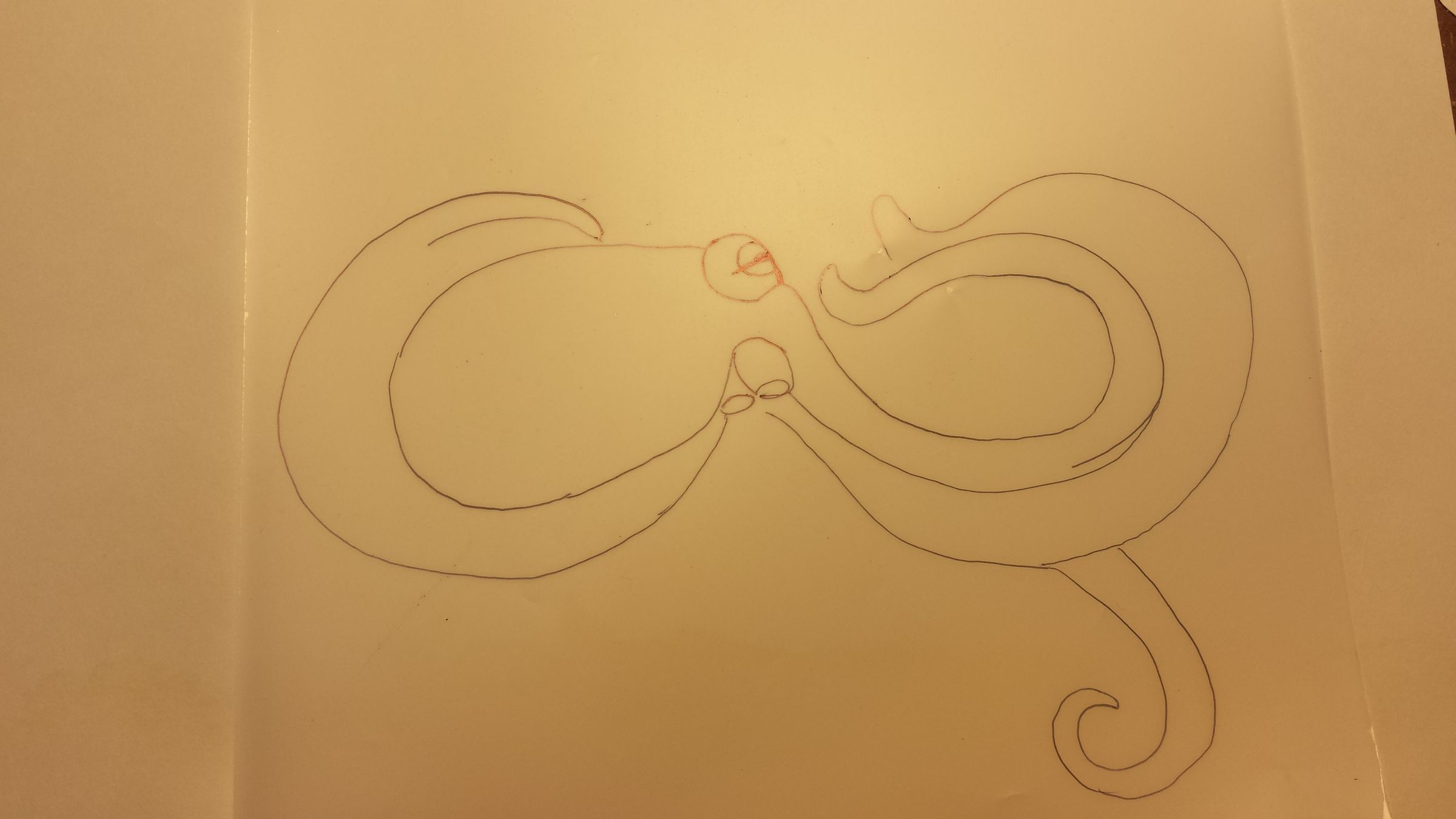 DIY Leather Octopus Pirate Eye Patch Mask : 9 Steps (with Pictures ...