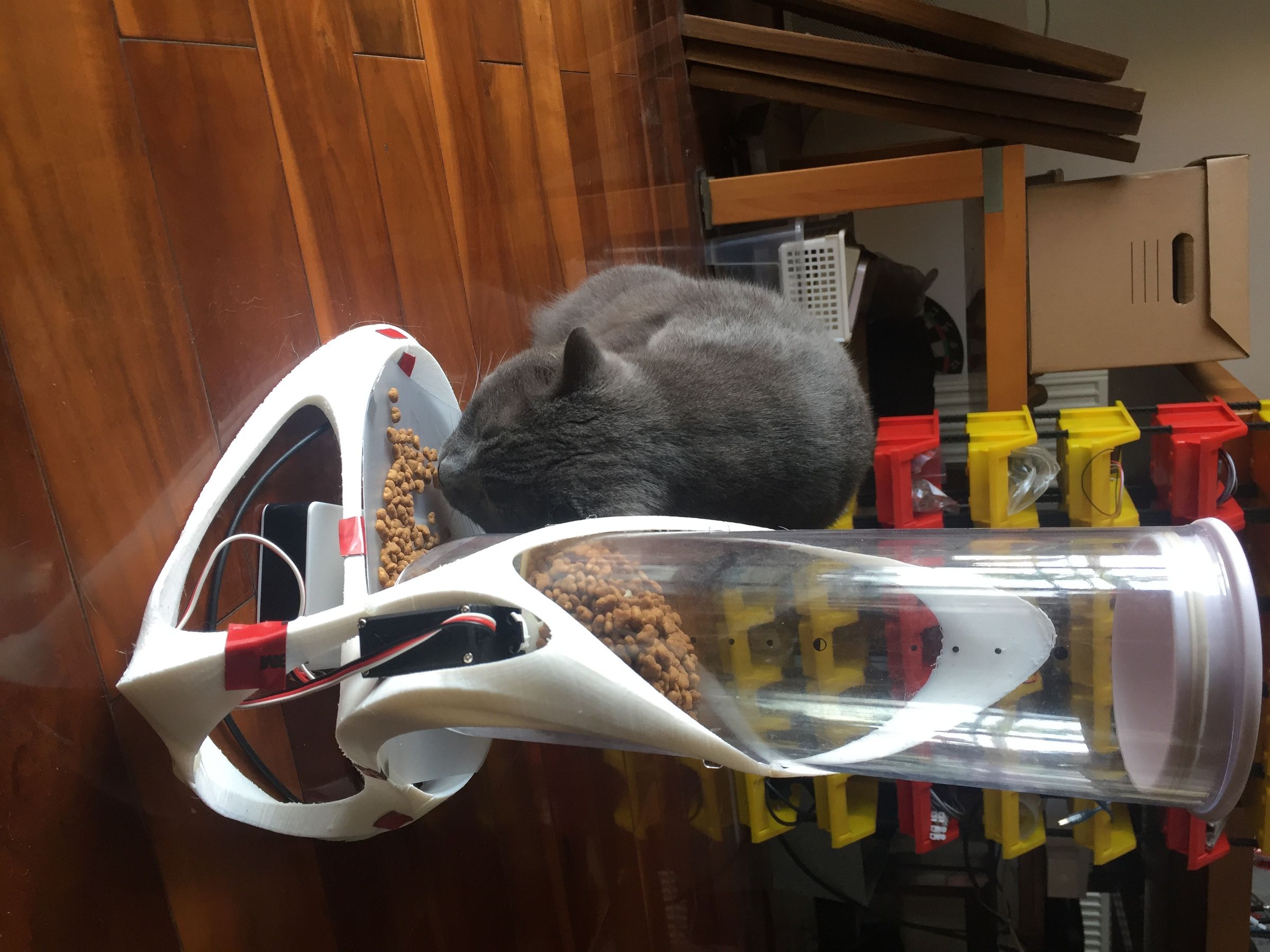 Super Stylish Automatic Cat Feeder : 3 Steps (with Pictures ...