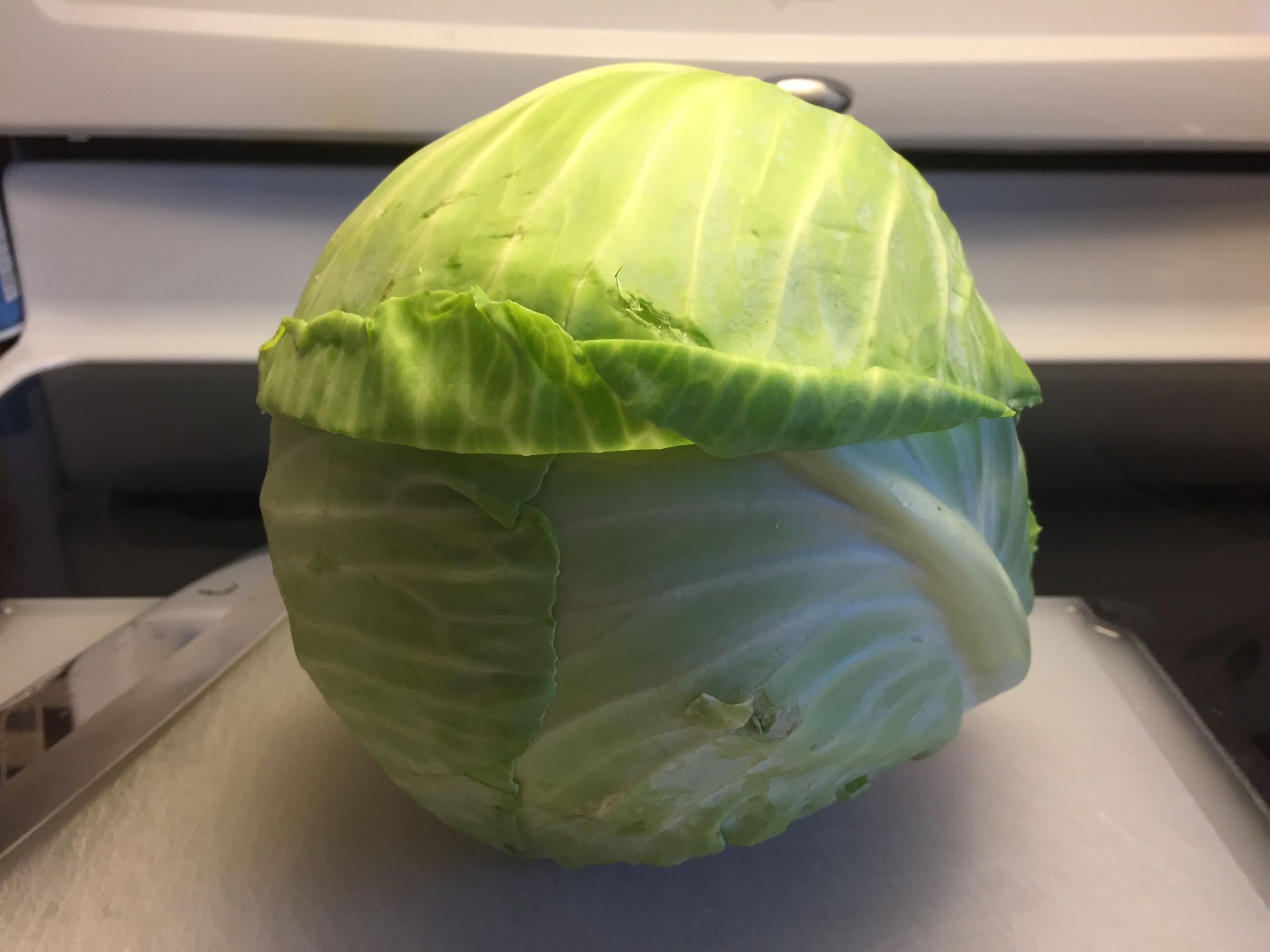 Simple Cole Slaw : 4 Steps (with Pictures) - Instructables