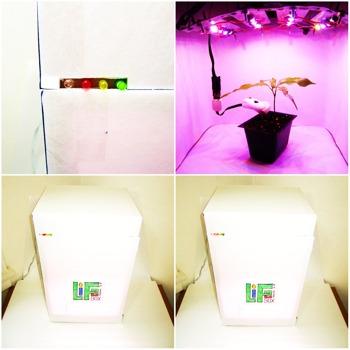 The Plant Box : 6 Steps - Instructables