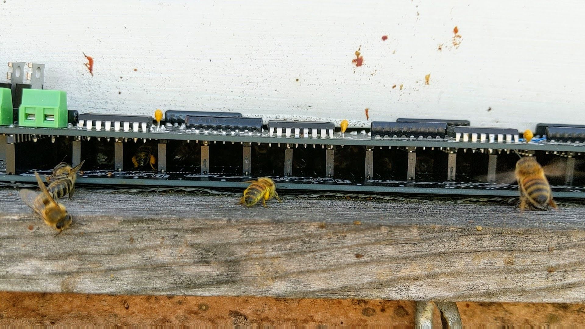 Easy Bee Counter : 10 Steps (with Pictures) - Instructables
