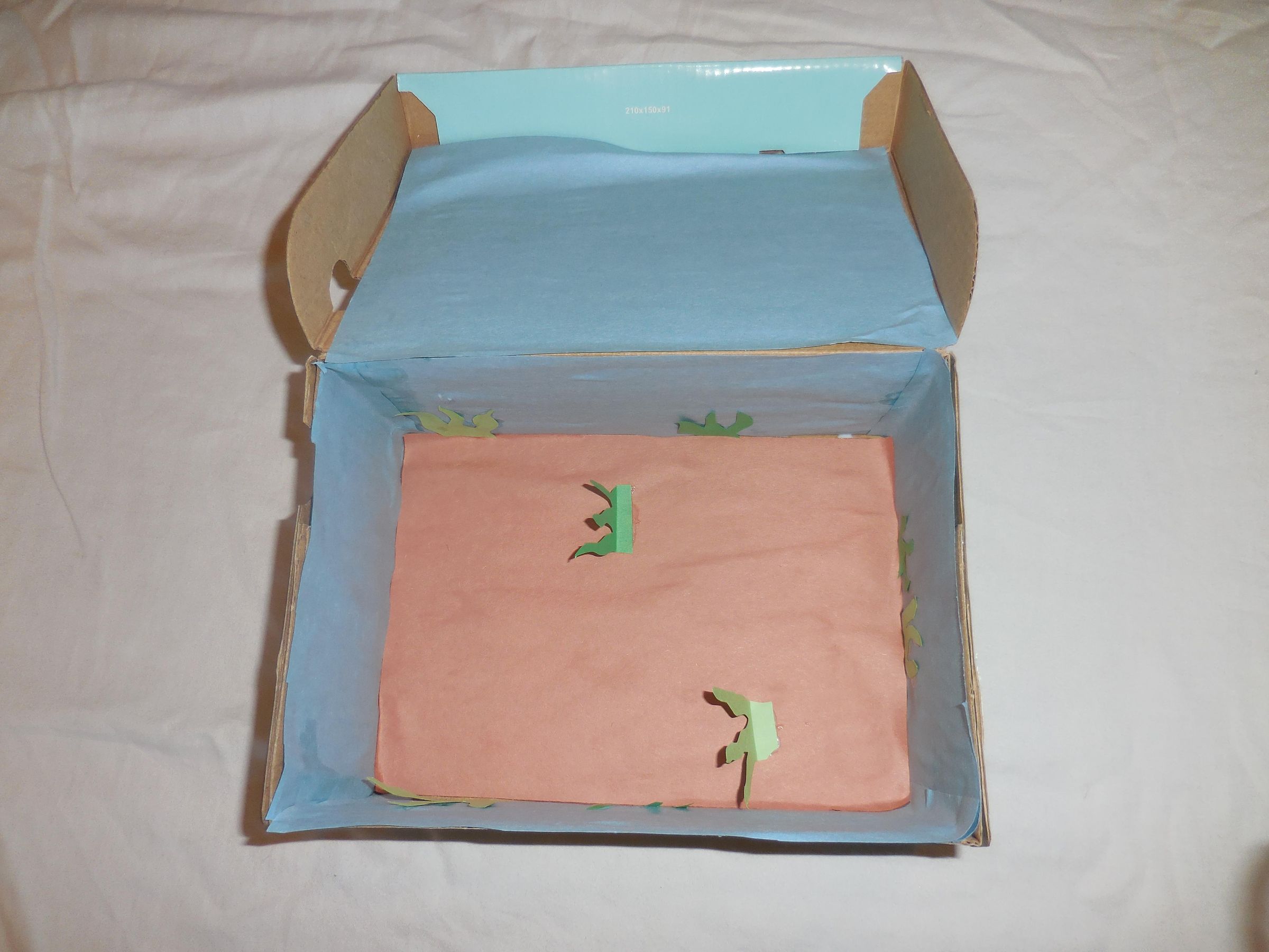 Underwater Shoebox Diorama : 7 Steps - Instructables