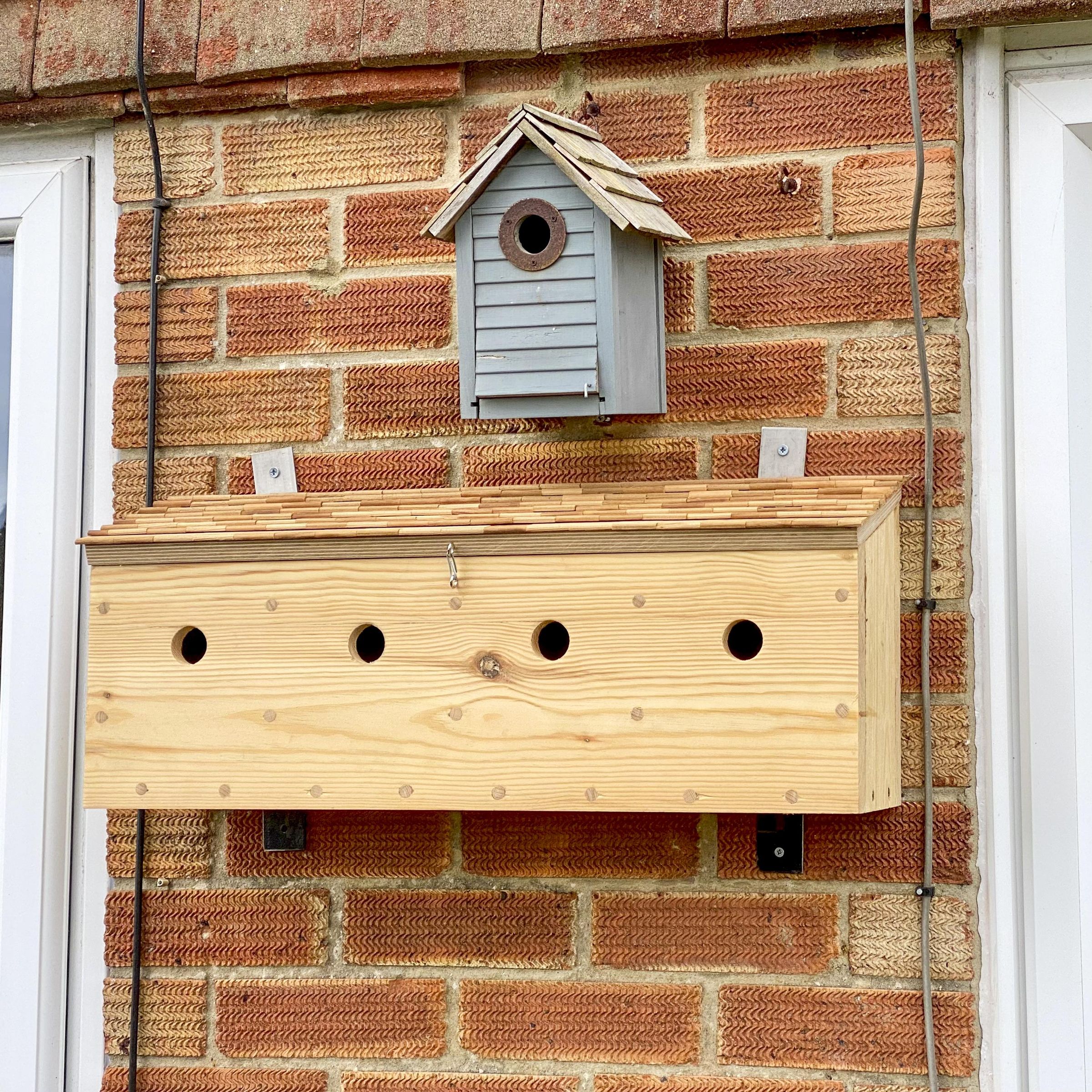 🐦 House Sparrow 🐦 Bird Box Terrace 🐦 : 11 Steps (with Pictures ...