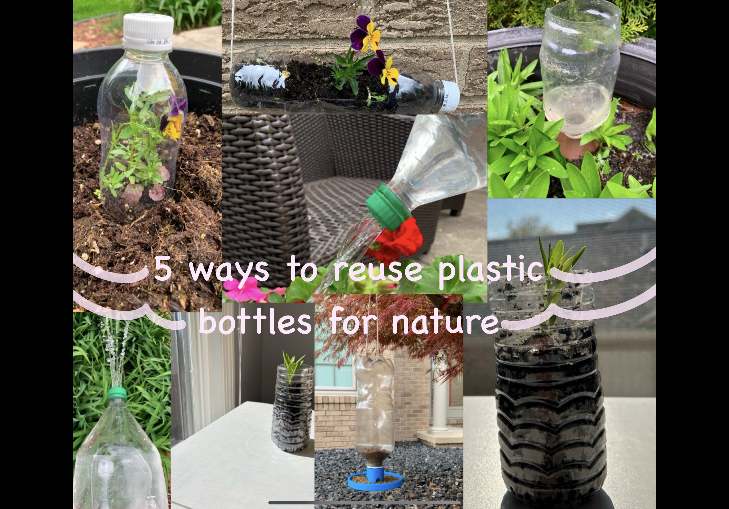 Reuse Plastic Bottles