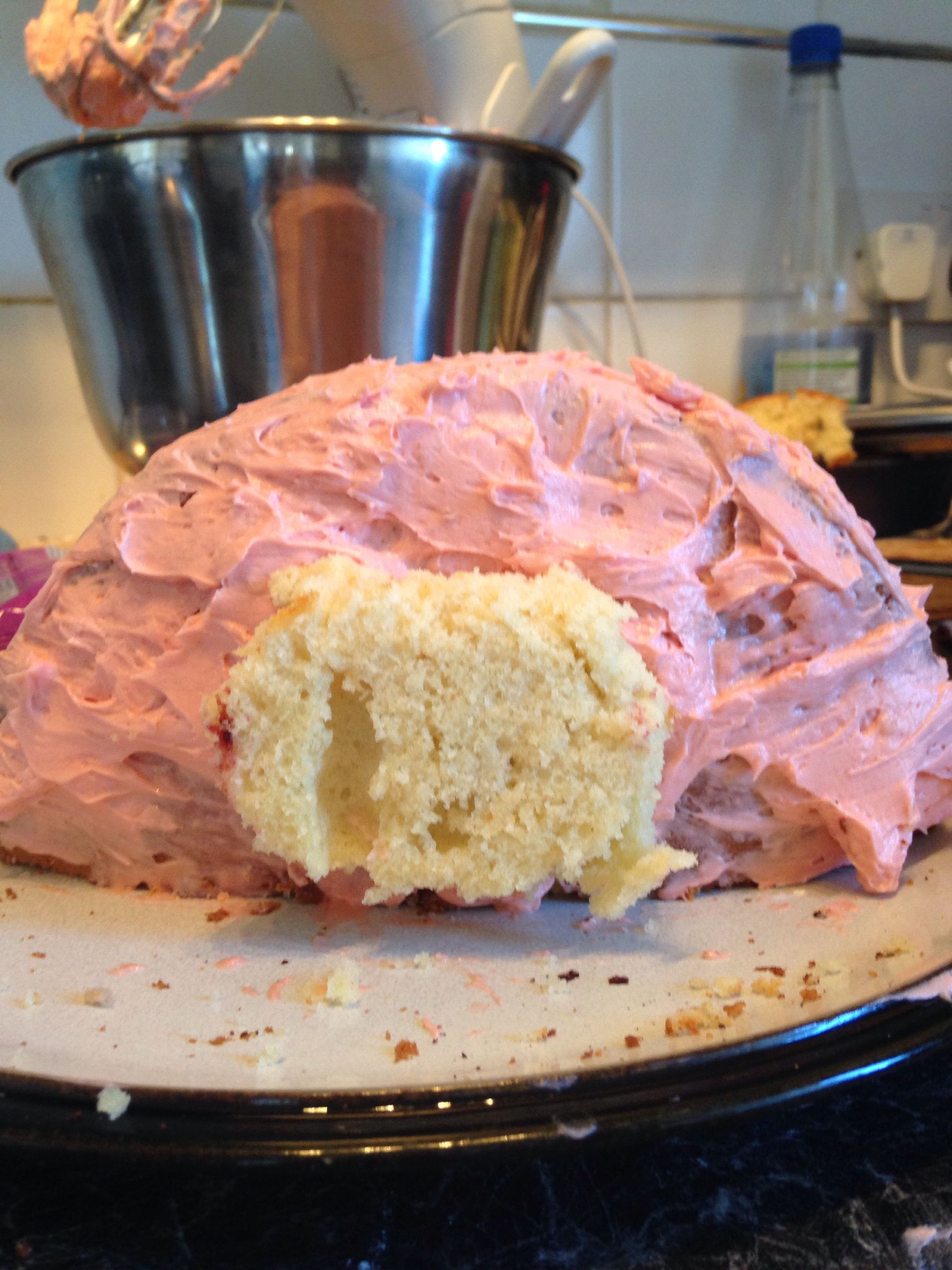 Surprise Pig Cake : 7 Steps (with Pictures) - Instructables