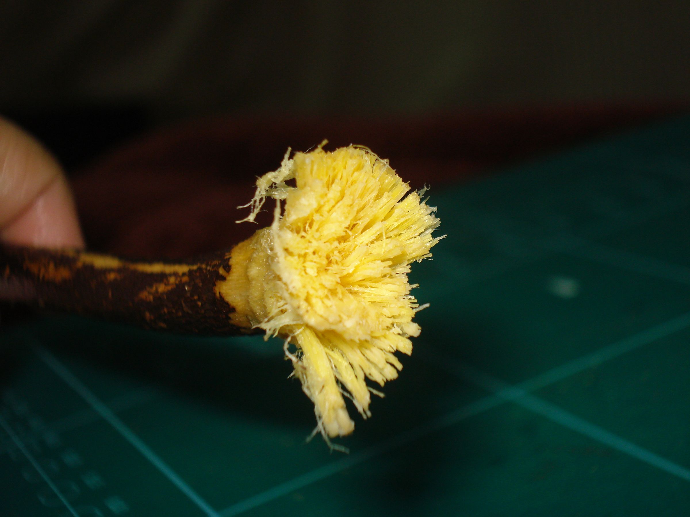 Pocket Miswak Toothbrush : 6 Steps (with Pictures) - Instructables
