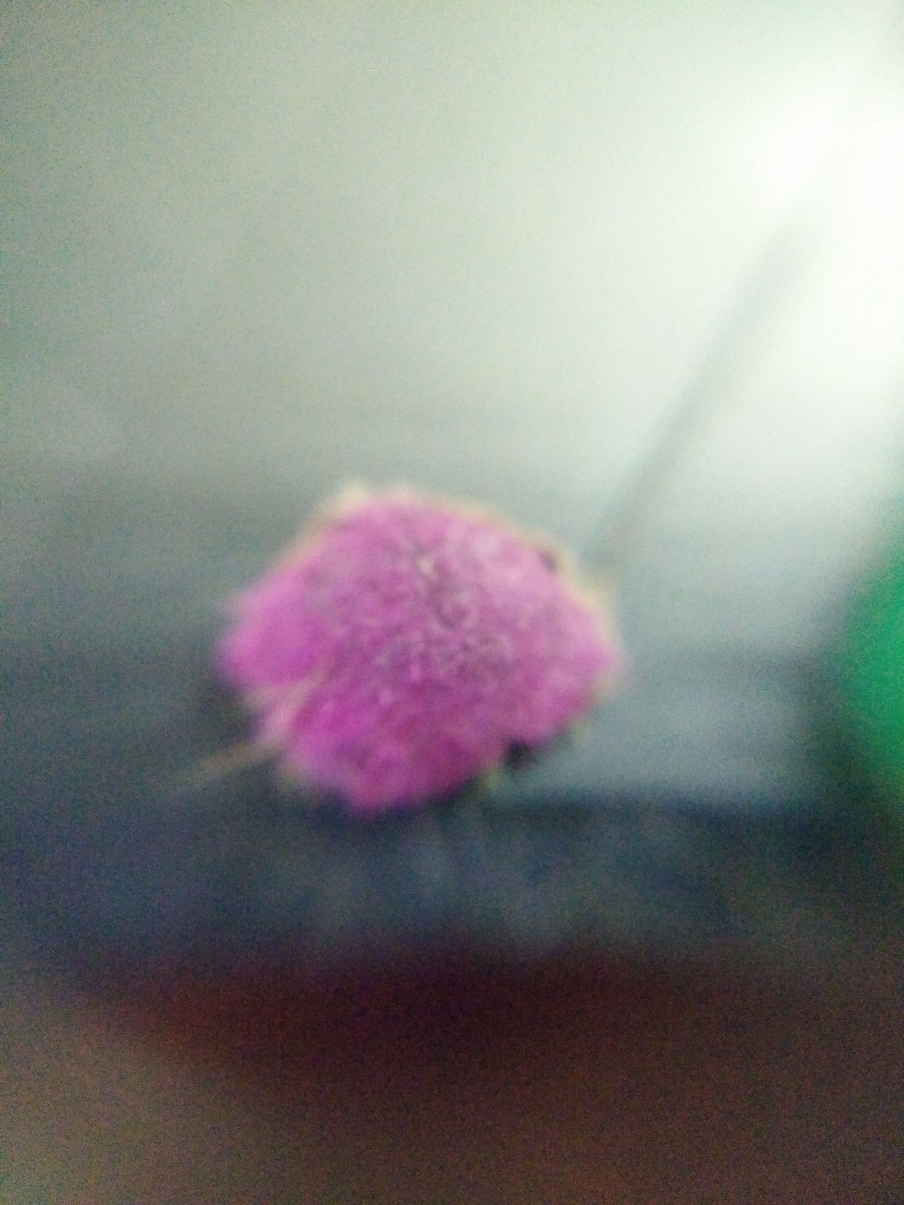 Gambit Exploding Cards : 5 Steps - Instructables