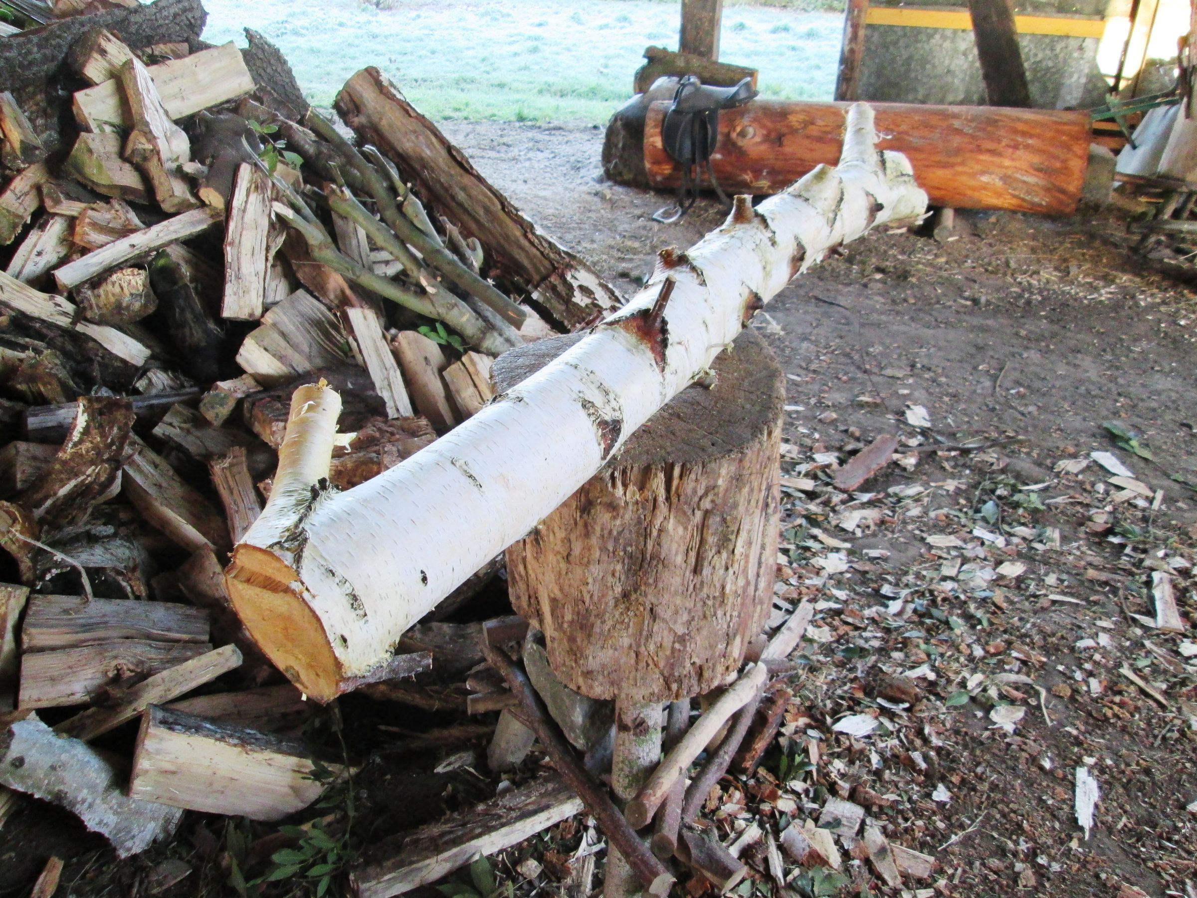 Handheld Tree Cannon - Nerf Style : 6 Steps (with Pictures) - Instructables