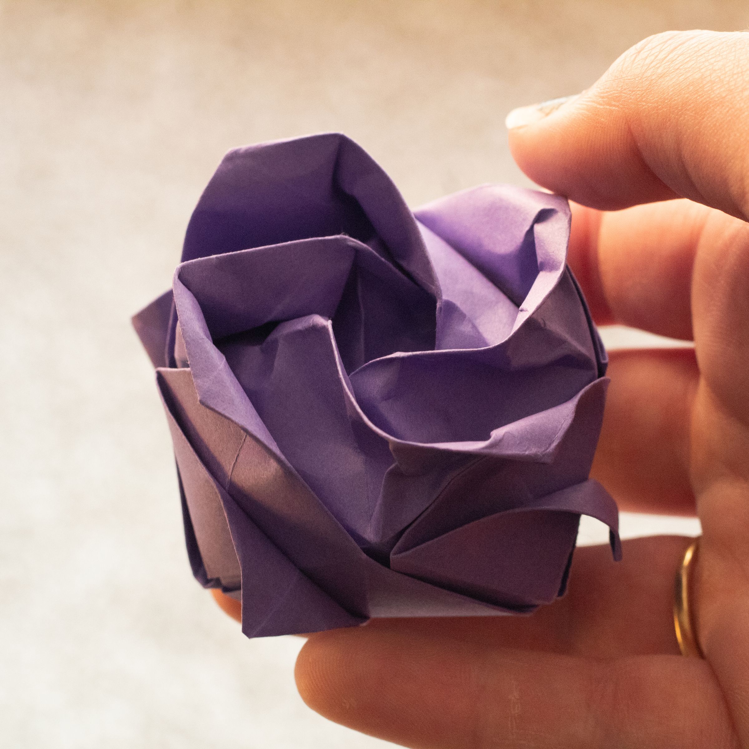 Origami Omuta Rose