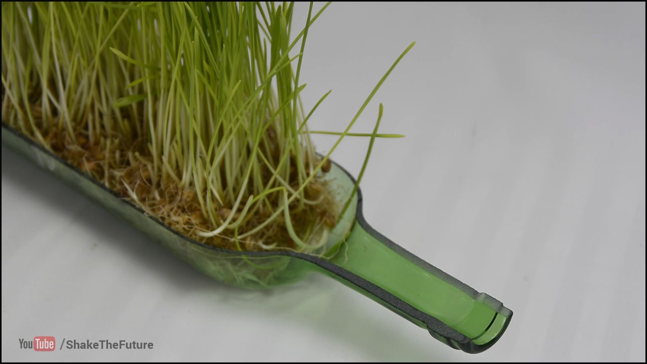 How to Cut Bottles in Half (Lengthwise) : 5 Steps (with Pictures ...