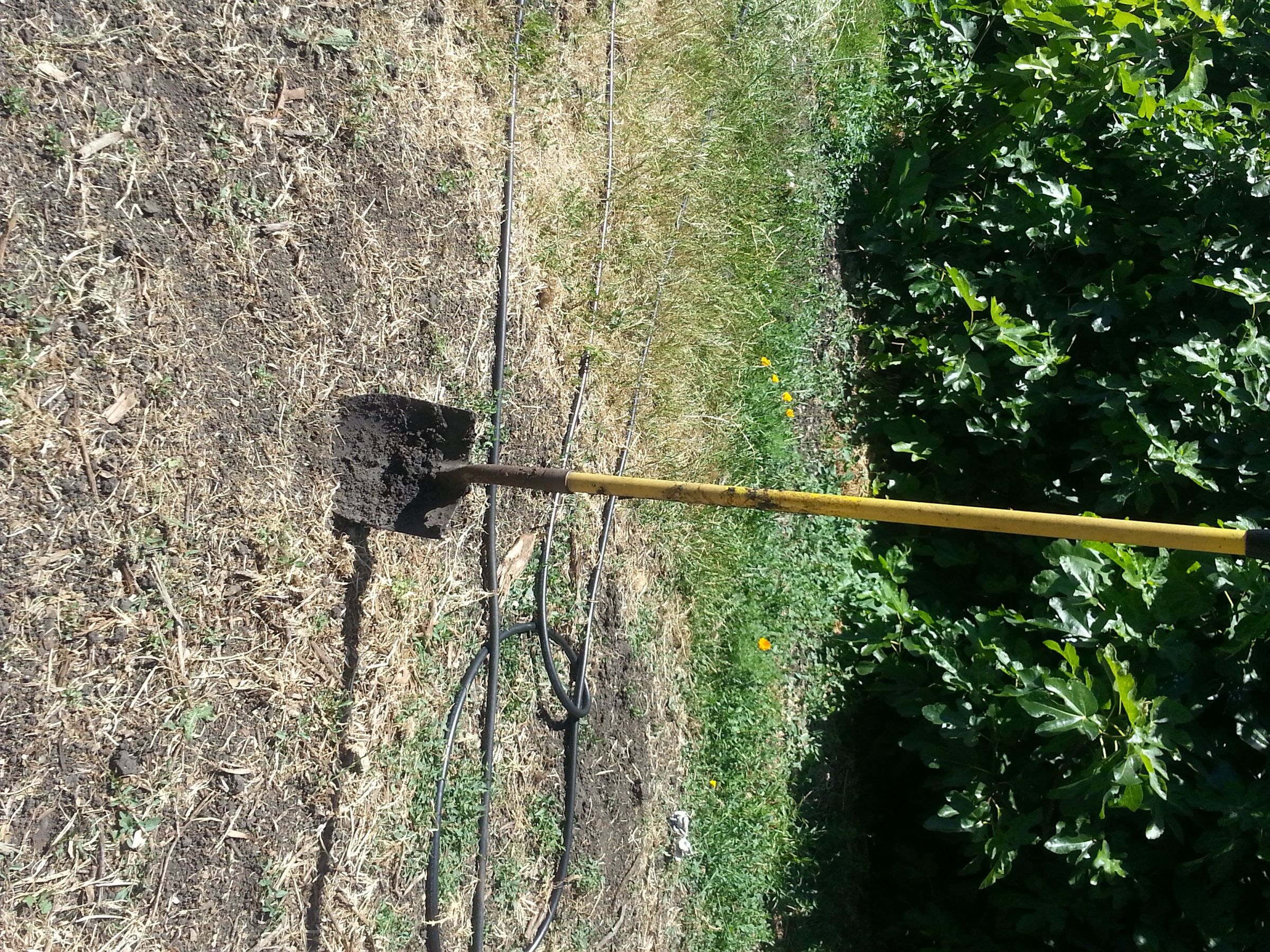 Sheet Mulching : 12 Steps - Instructables