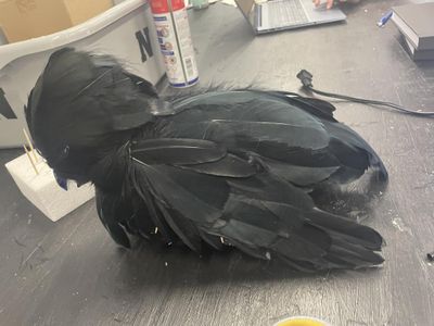 Cawing Raven : 15 Steps (with Pictures) - Instructables