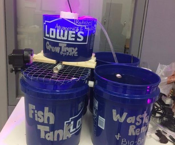 20-Gallon Aquaponics System With Arduino Monitoring : 17 Steps (with ...