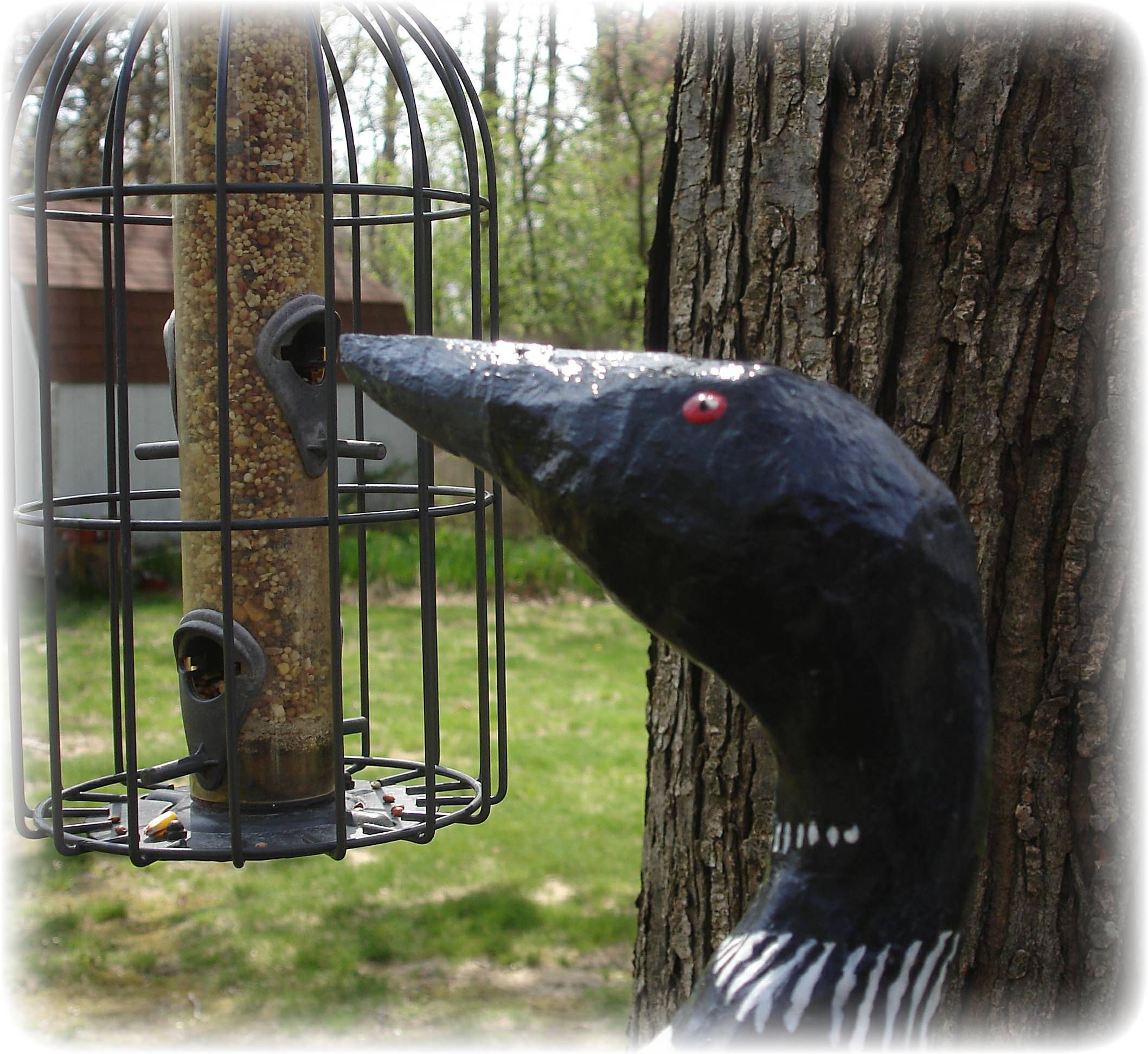 Recycle Plastic Grocery Bags, Wire Hangers and Newspaper Into Loons ...