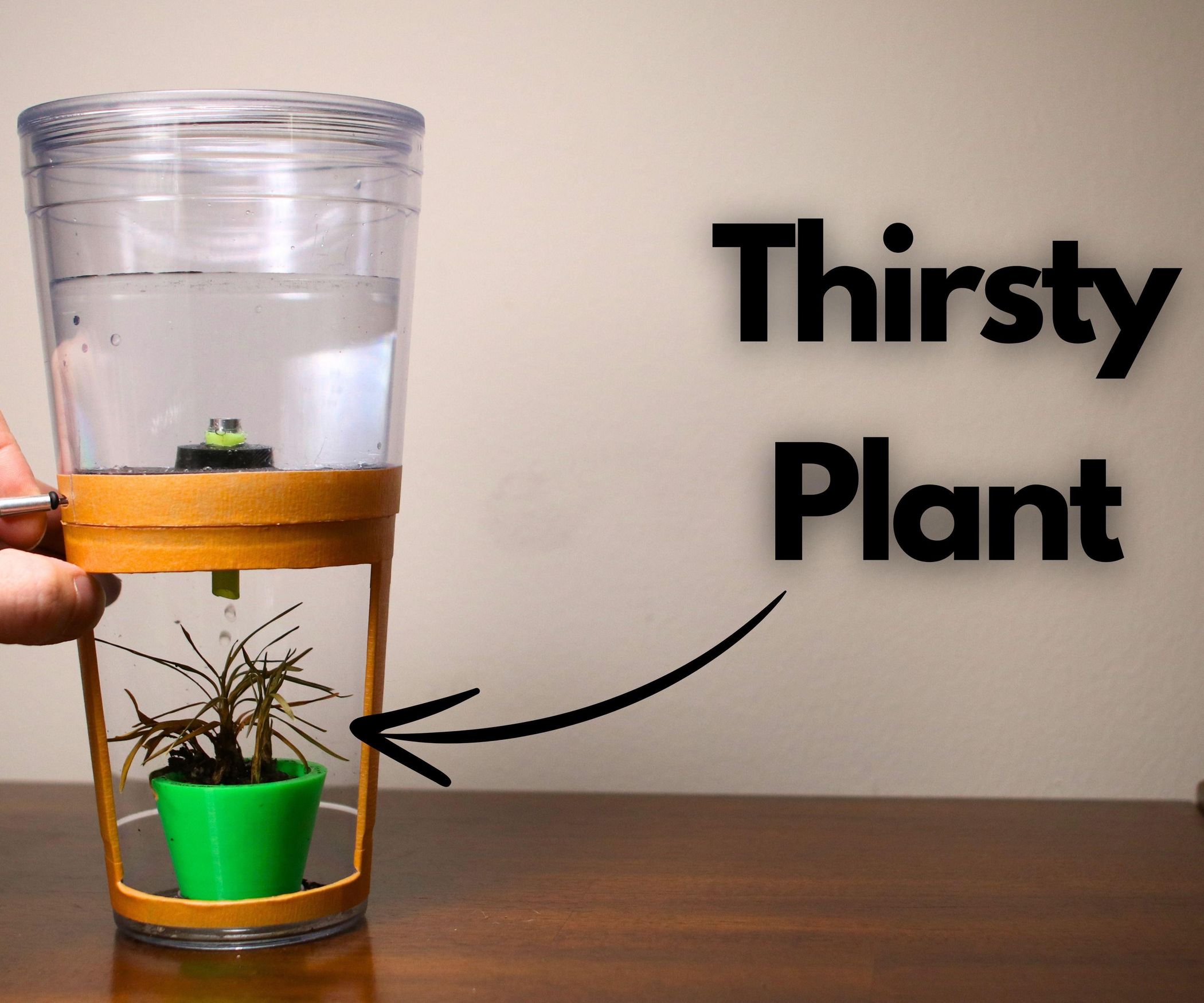Plant Watering Cup : 9 Steps (with Pictures) - Instructables